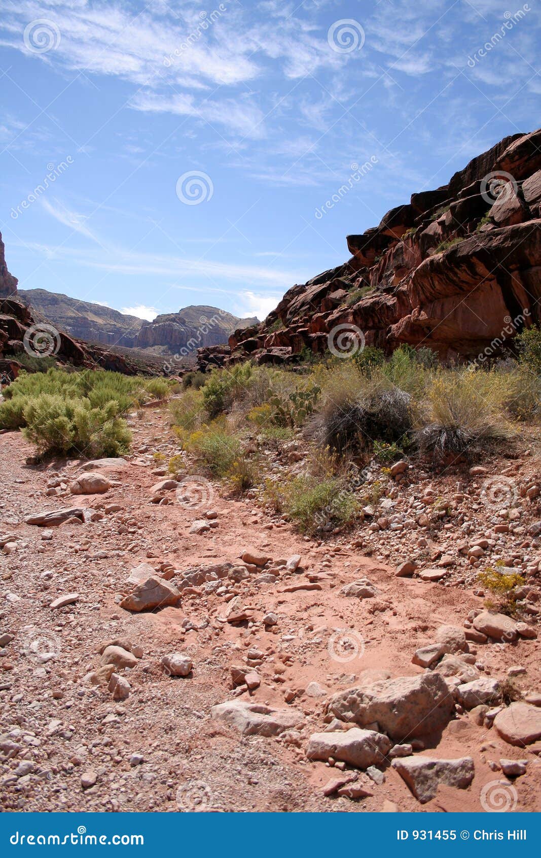 Desert Trail stock image. Image of hike, environment, parched - 931455