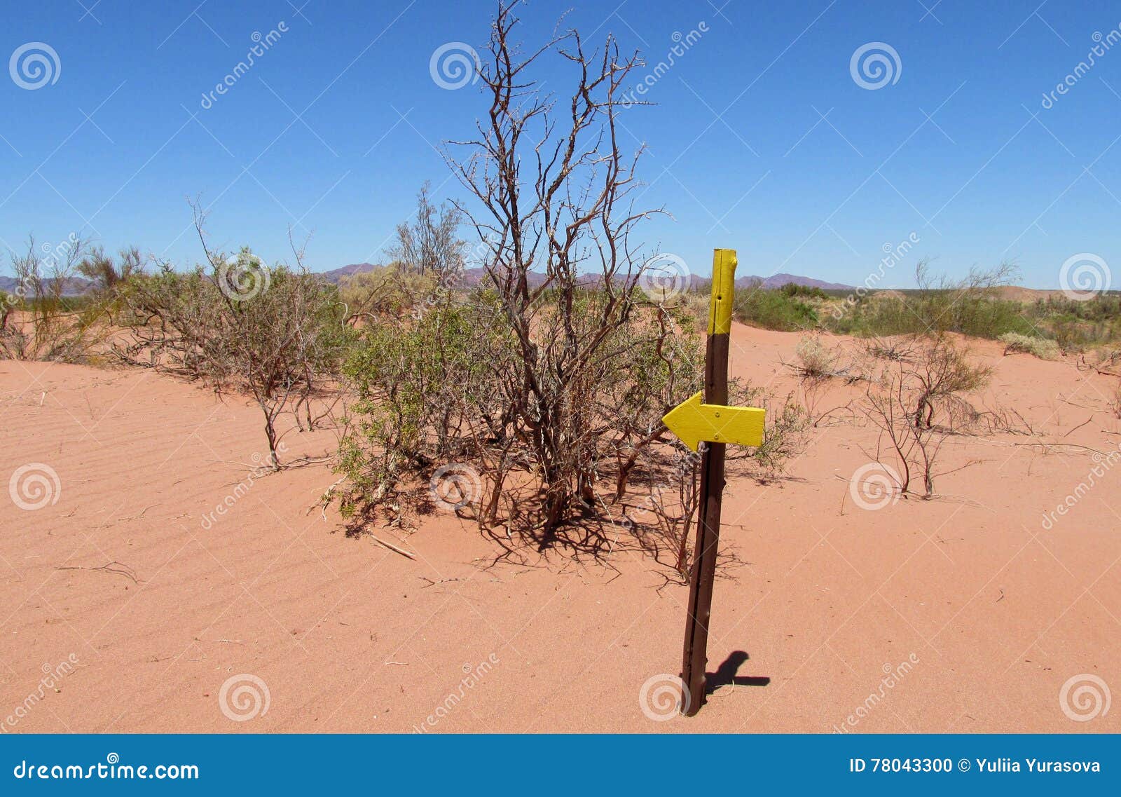 Desert Trail and Direction Arrow Pointer, Sign Stock Photo - Image of ...