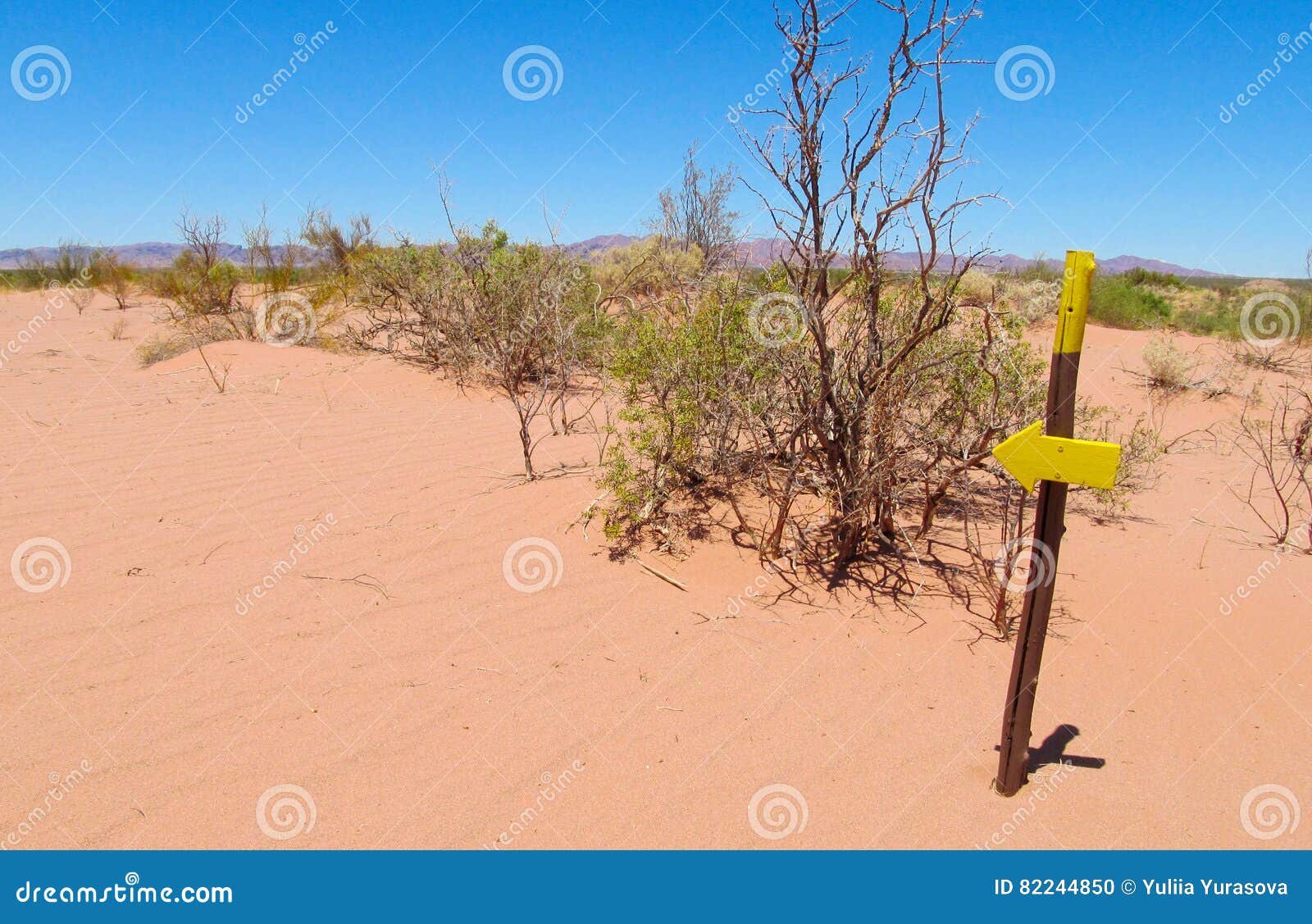 Desert Trail and Direction Arrow Sign Stock Photo - Image of beautiful ...