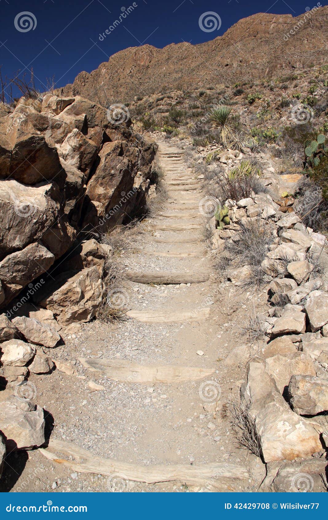 Desert Trail stock photo. Image of destinations, sound - 42429708