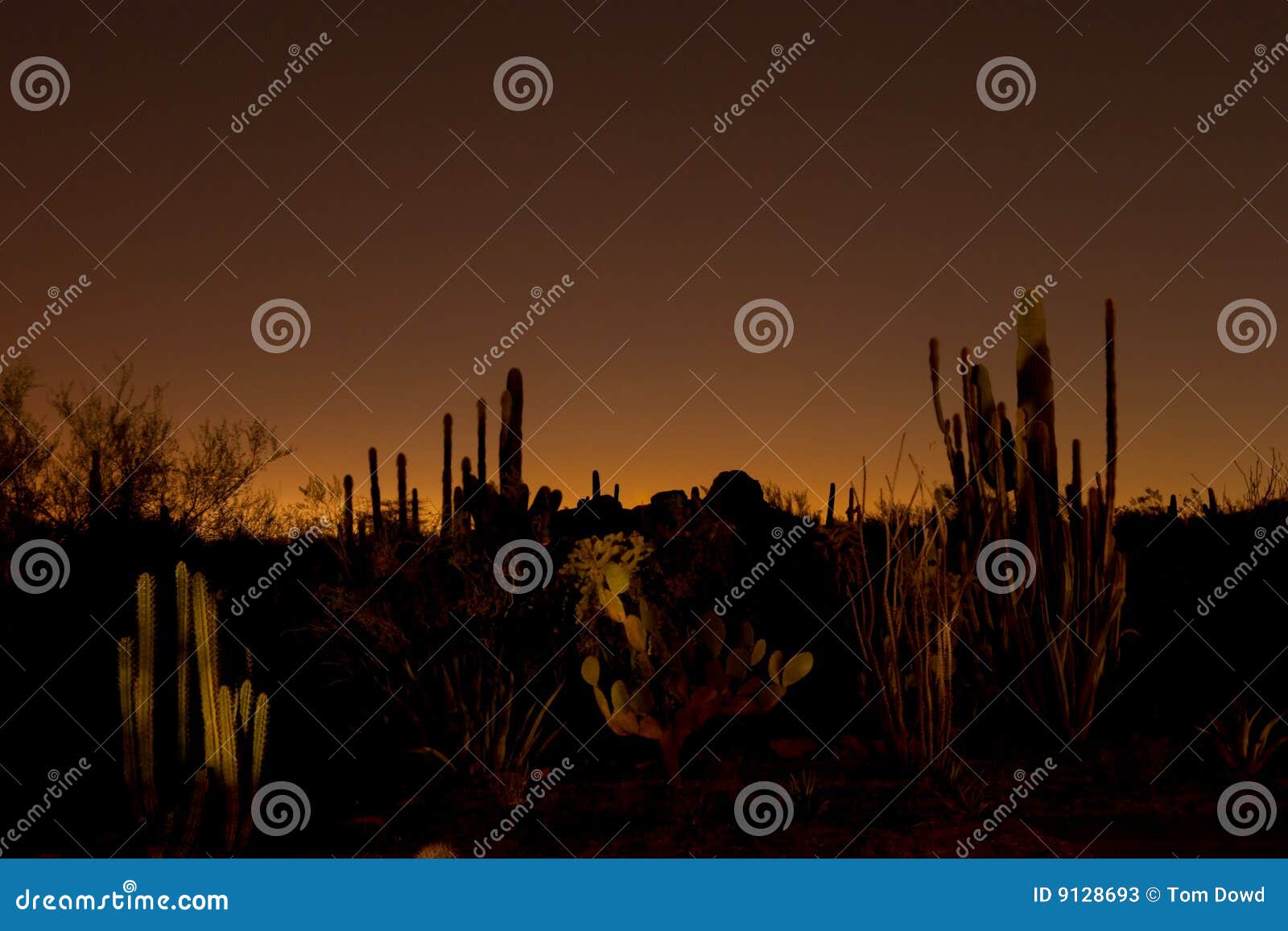 Desert Twilight stock image. Image of horizon, evening - 9128693