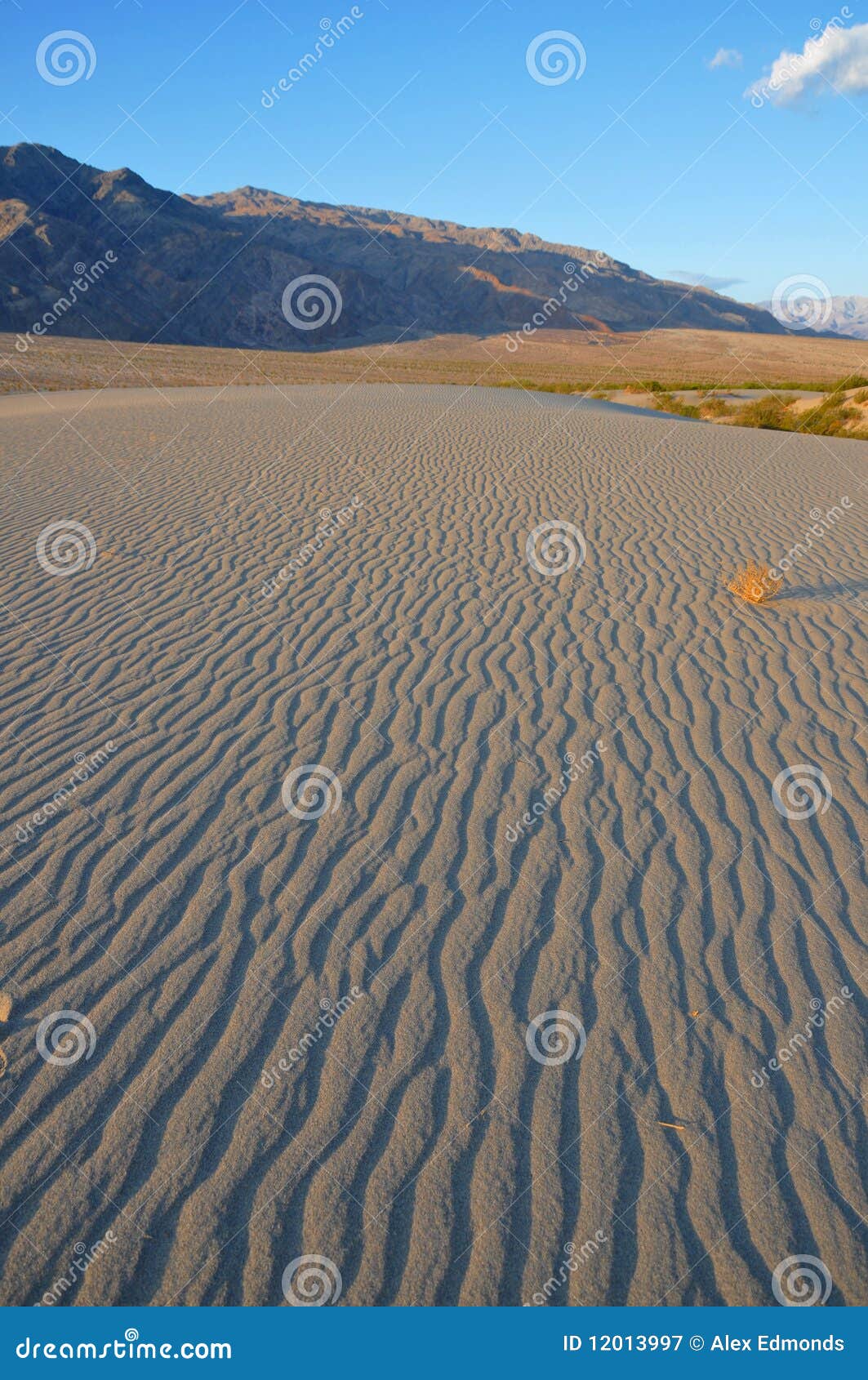 Desert View stock image. Image of curve, ripple, background - 12013997