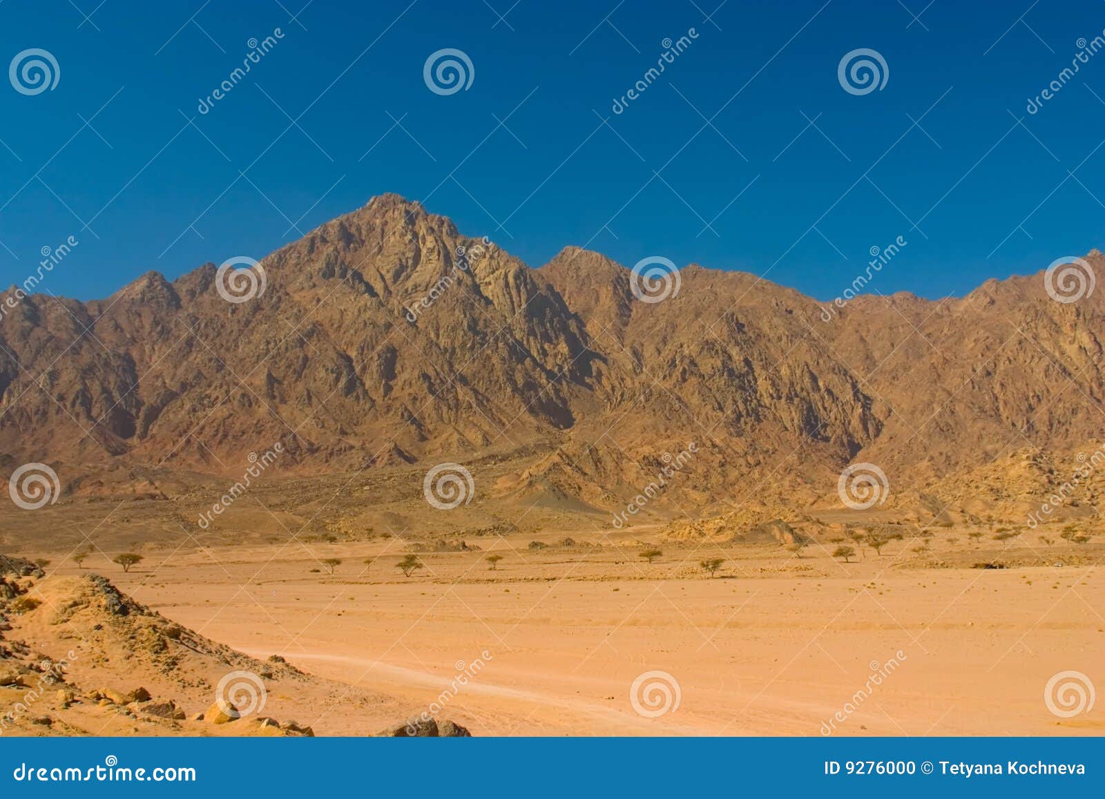 Desert view stock photo. Image of barren, summer, africa - 9276000
