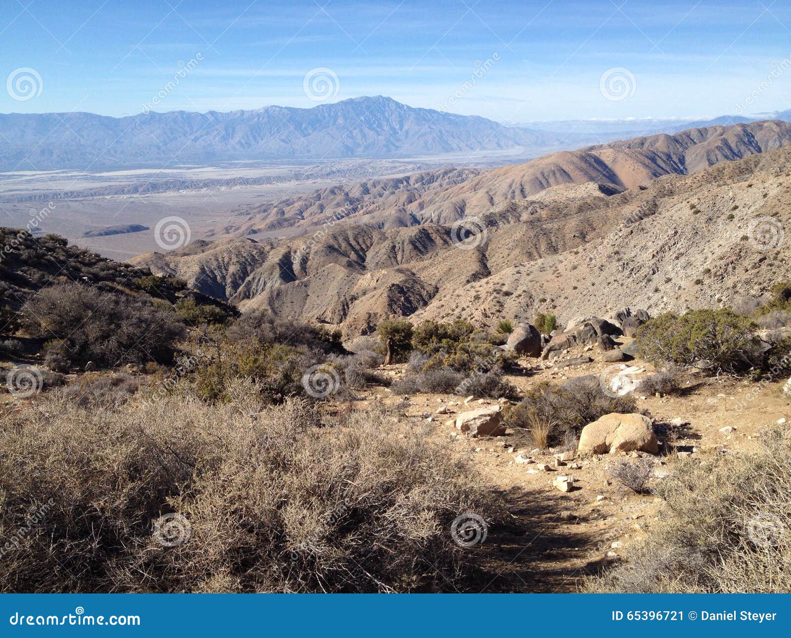 Desert View stock image. Image of nature, tree, california - 65396721