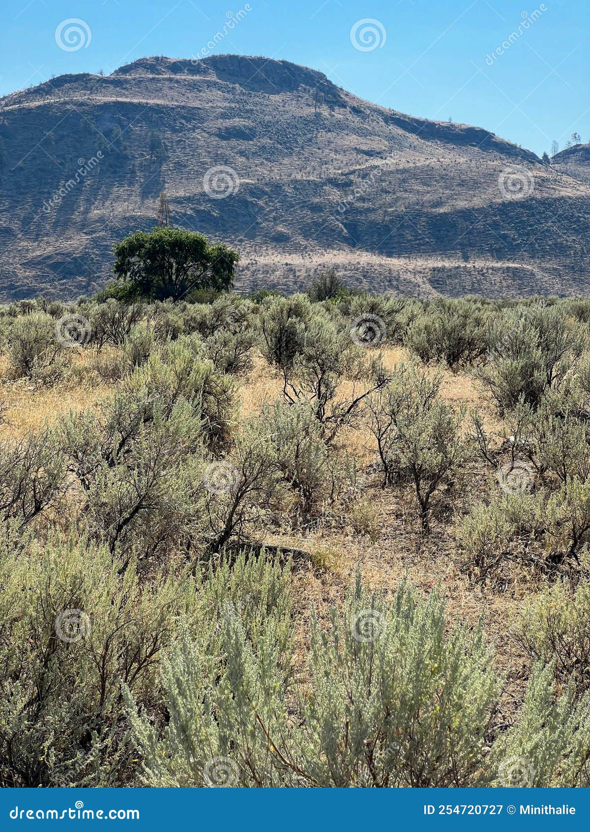 Desert View, Okanagan Valley, Canada Stock Image - Image of nature ...