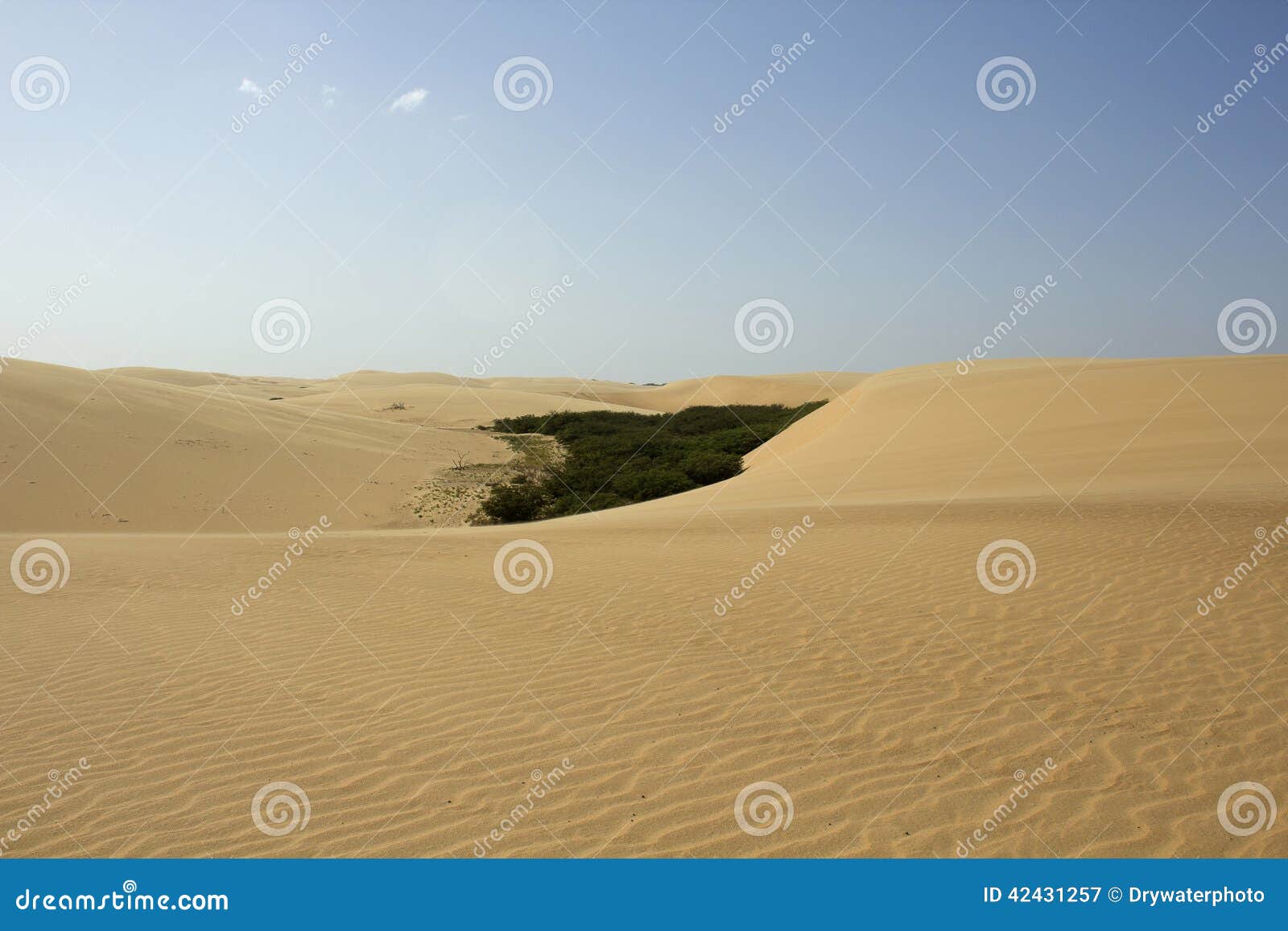Desert VIII stock image. Image of desert, pattern, heat - 42431257