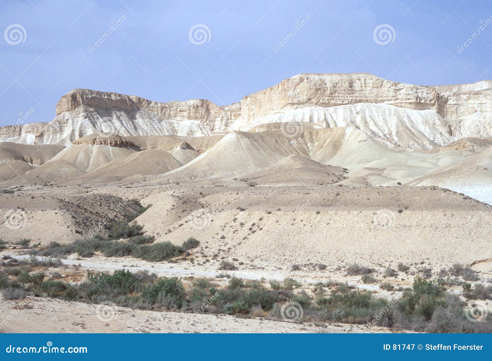 Desert Wadi stock image. Image of middle, season, negev - 81747