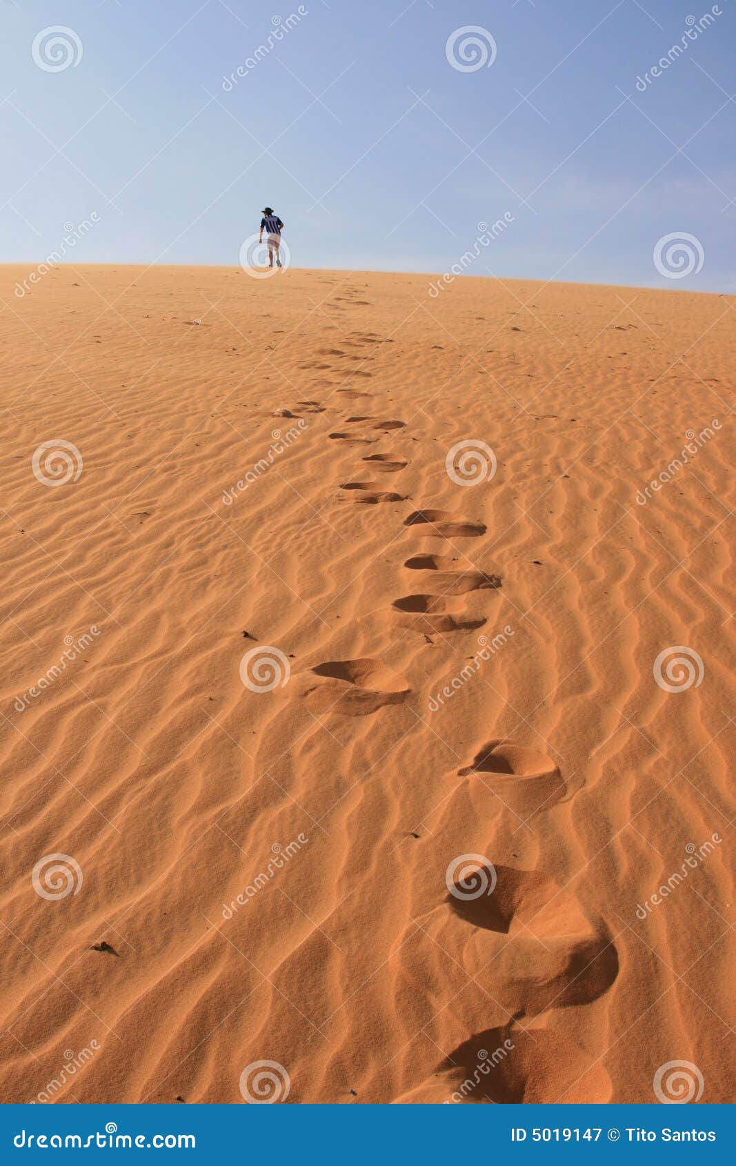 Desert Walk stock image. Image of walk, contrast, blue - 5019147