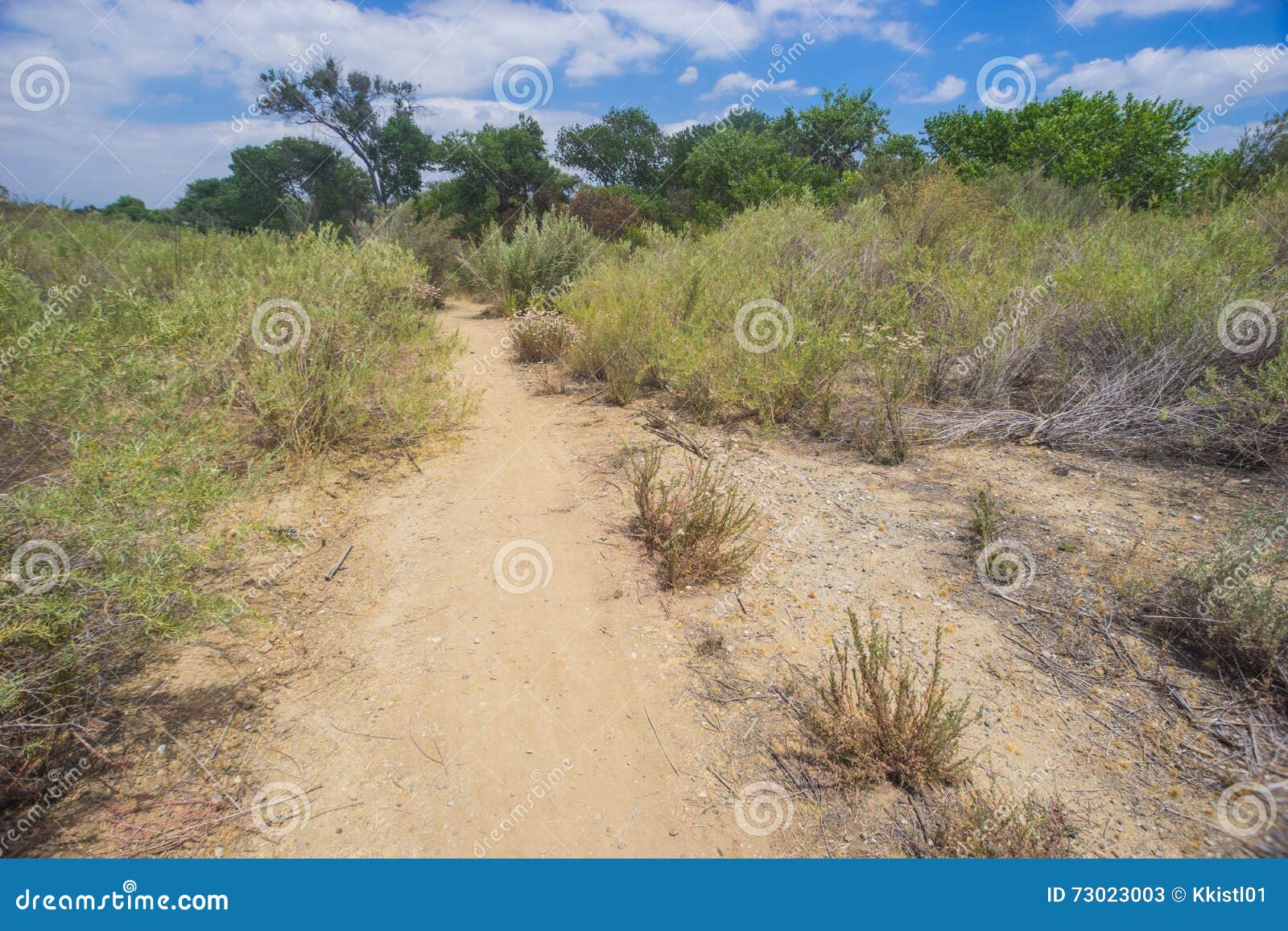 Desert Walking Path stock image. Image of hiking, running - 73023003