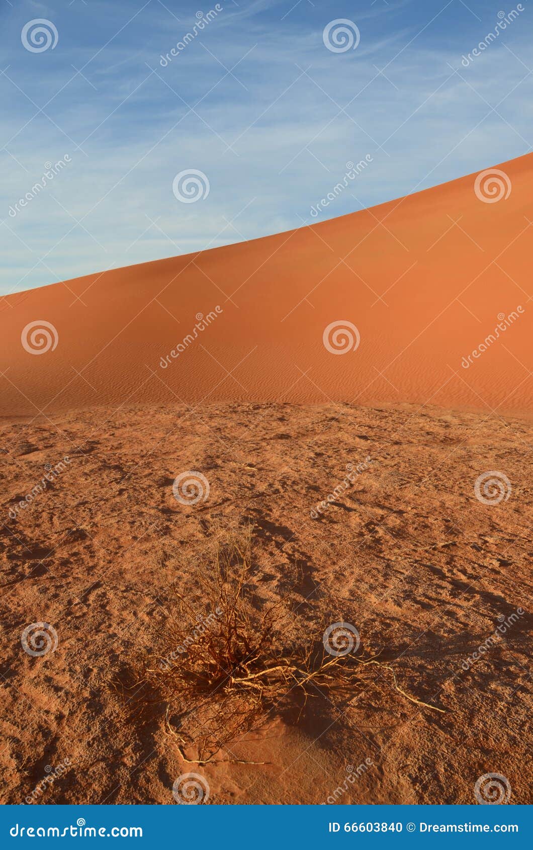 Desert wall stock photo. Image of natures, sahara, empty - 66603840