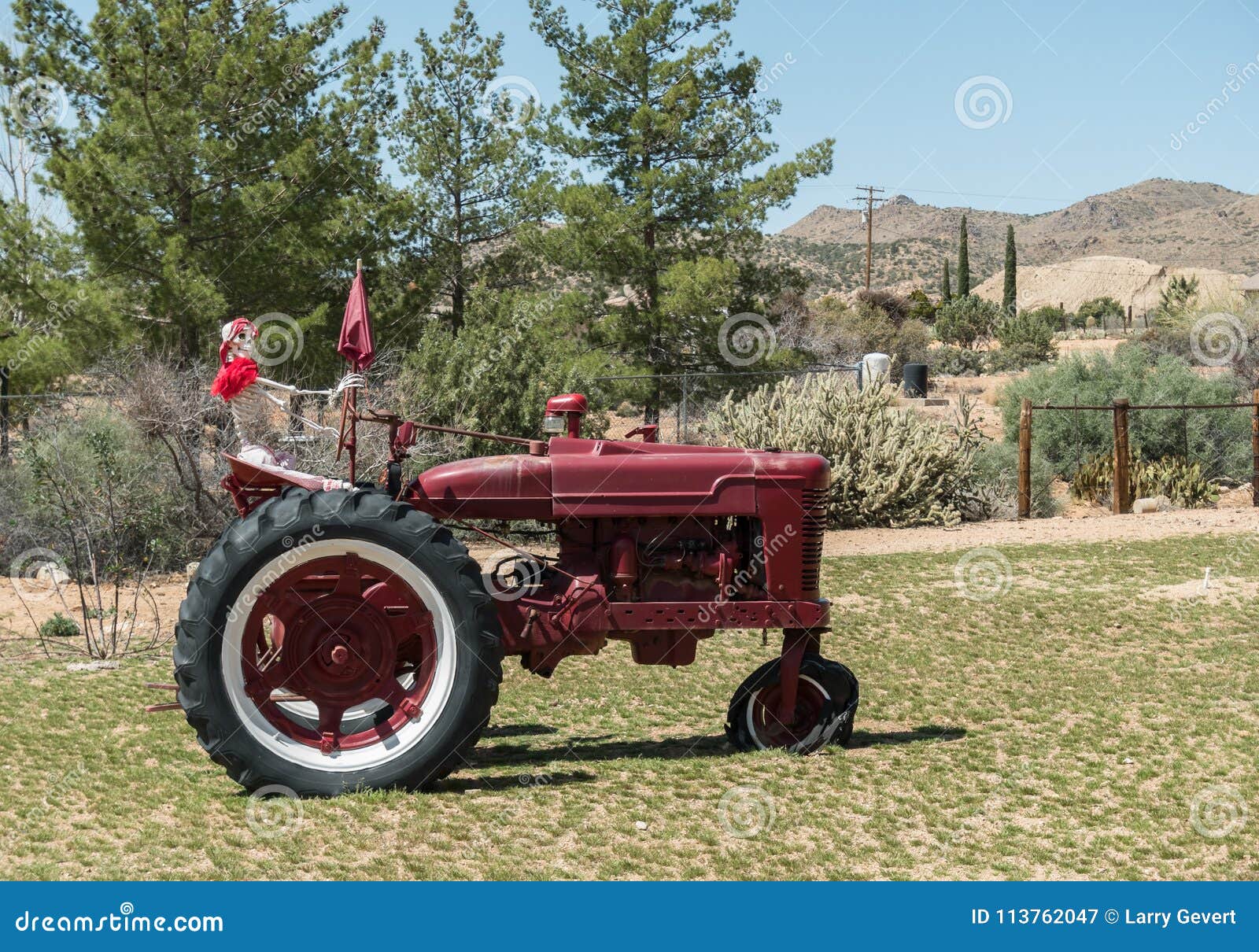 Human Skeleton On A Tractor Stock Image | CartoonDealer.com #113762047