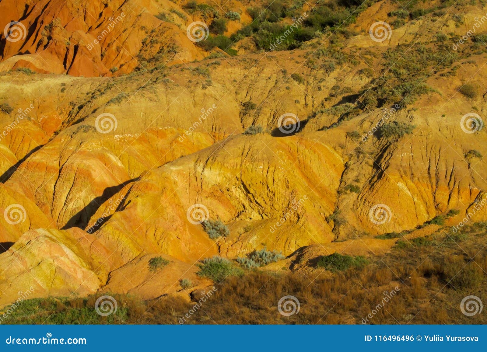 Desert Yellow Dry Ground Surface Pattern Stock Photo - Image of crack ...