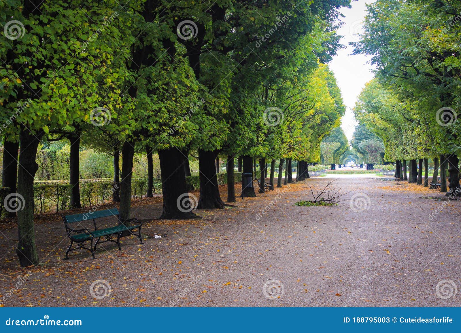 A Deserted Alley in a Large Park, a Projection of Empty Benches and ...