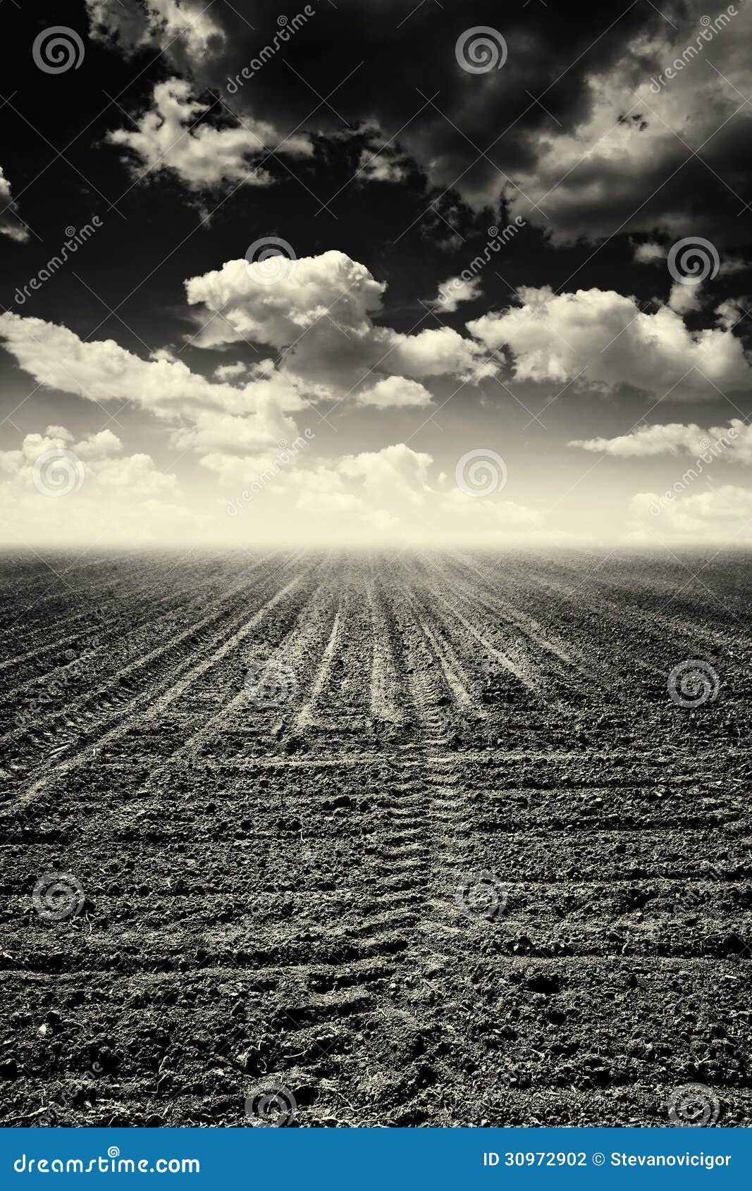 Deserted arable land stock photo. Image of dirt, ground - 30972902