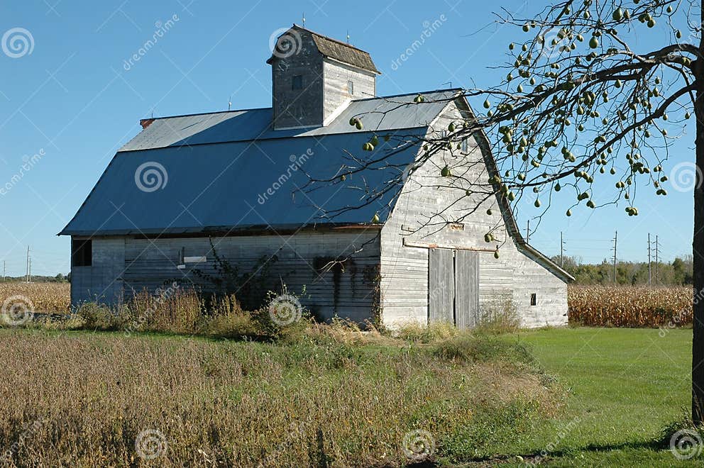 Deserted Barn with Apple Tree Stock Photo - Image of iowa, apple: 5846908