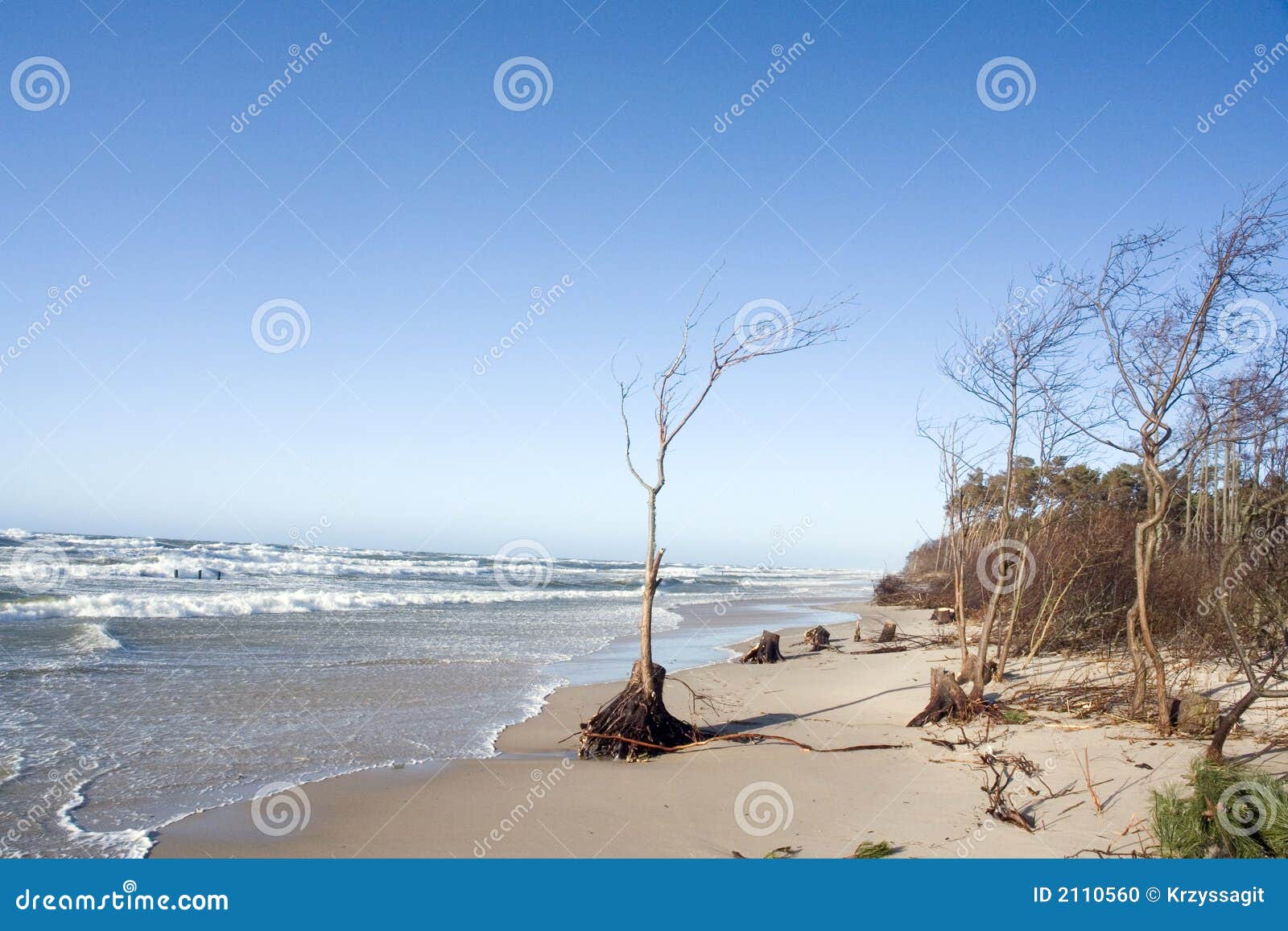 Deserted Beach stock photo. Image of aloof, alone, beach - 2110560