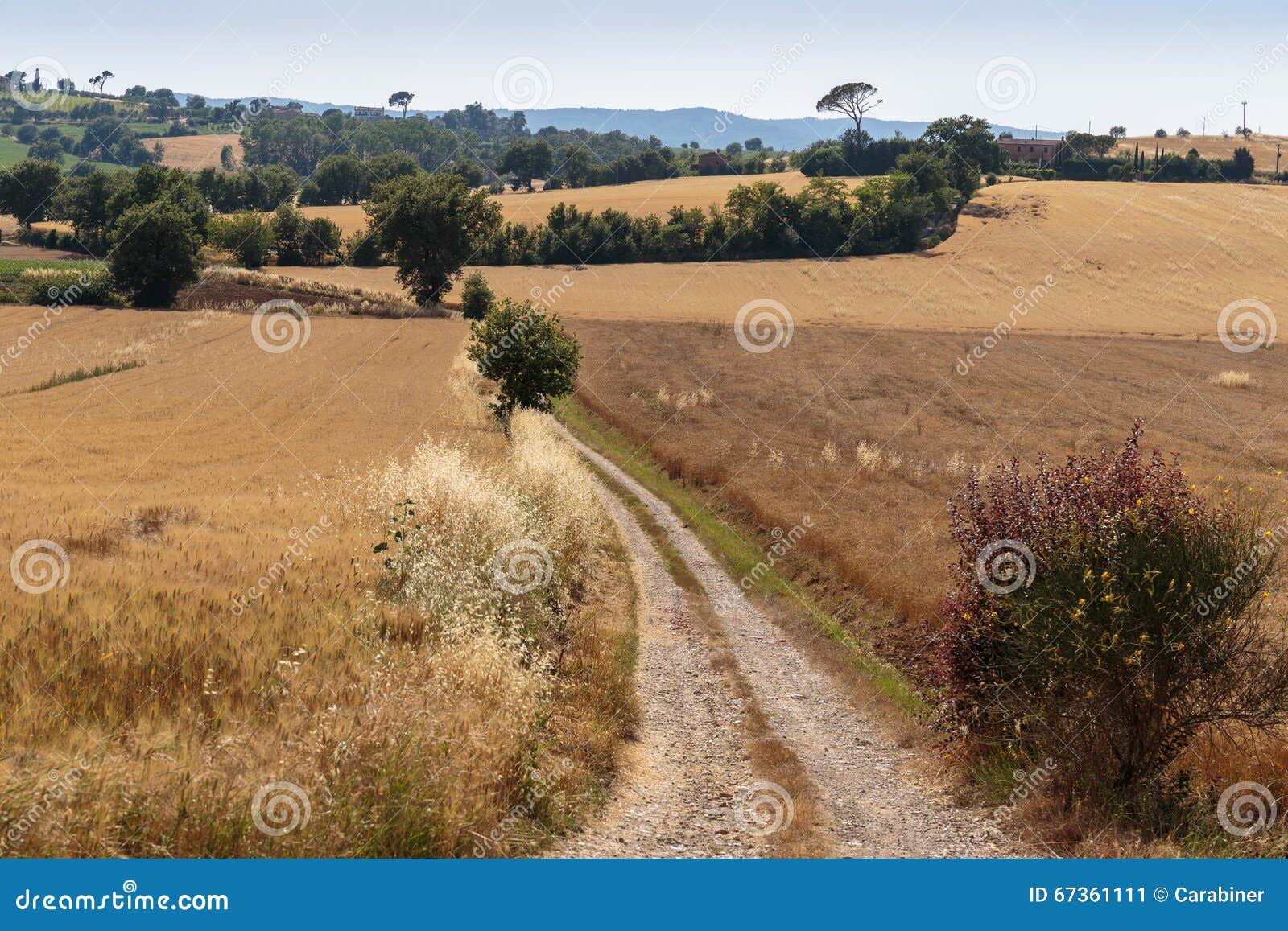 Deserted country road stock image. Image of rural, italy - 67361111
