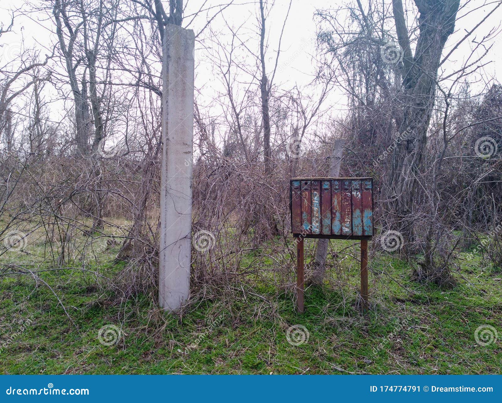 Deserted desert place stock image. Image of light, natural - 174774791