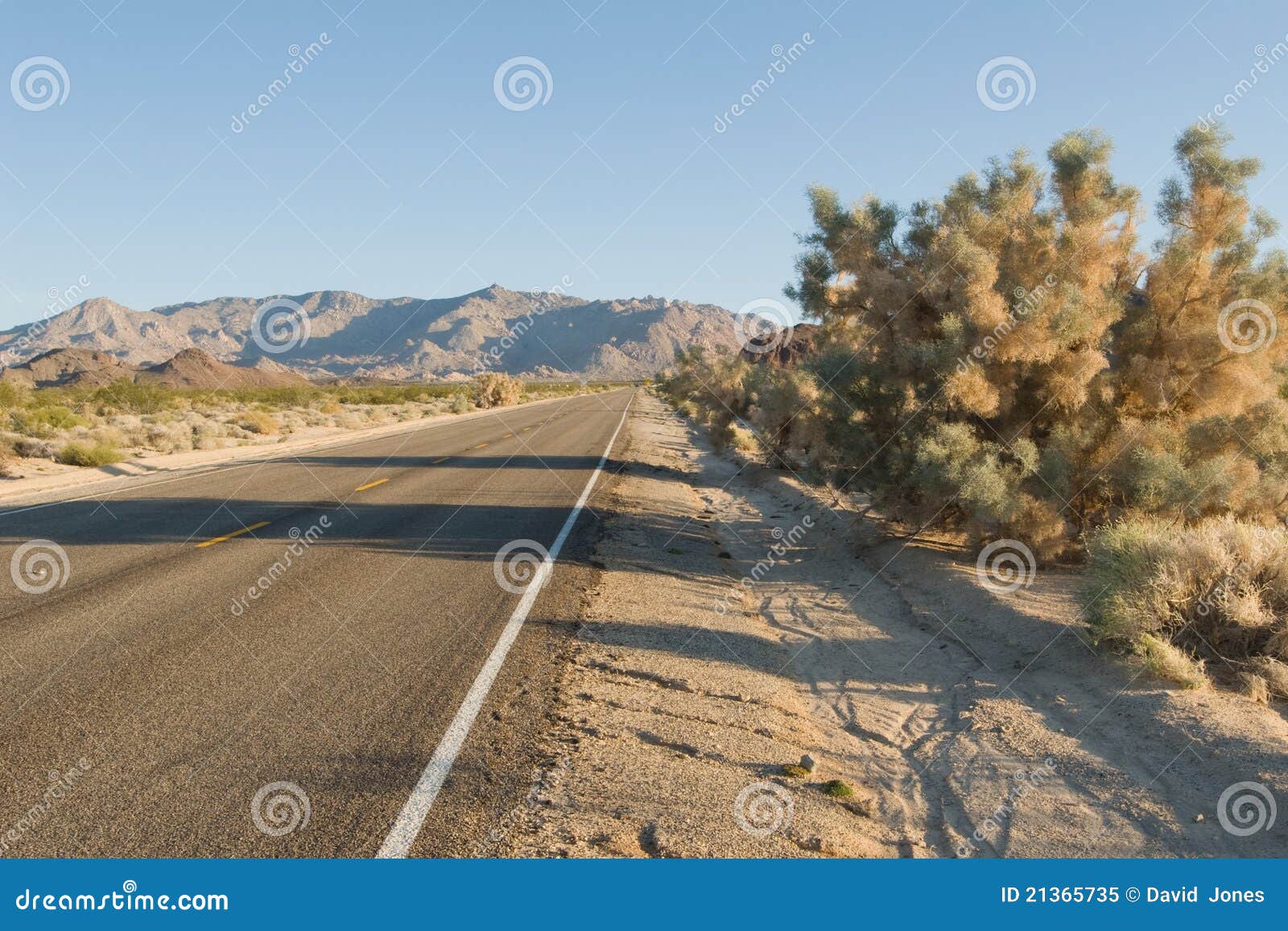 Deserted desert road stock image. Image of california - 21365735