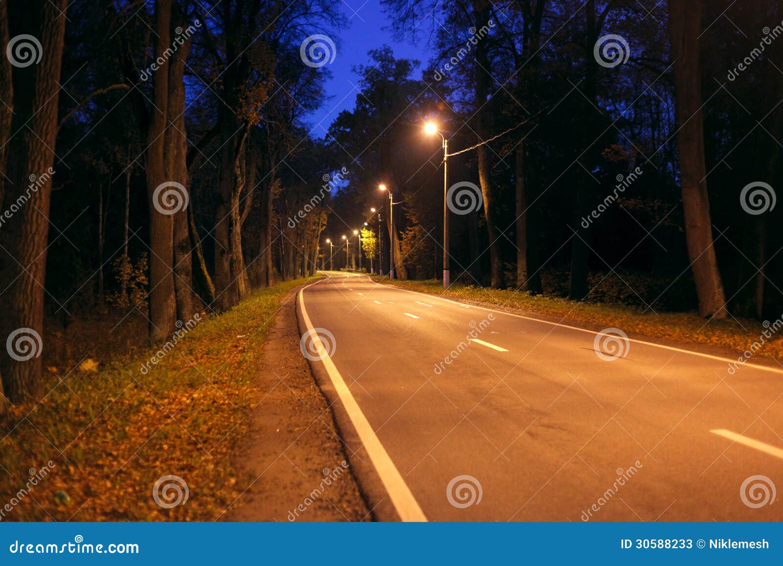 The Deserted Empty Highway in the Wood at Night. Stock Image - Image of ...