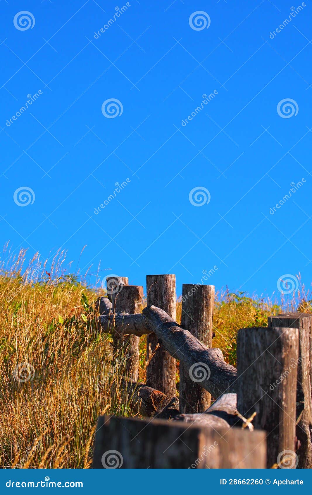 Deserted field and meadow stock photo. Image of deserted - 28662260