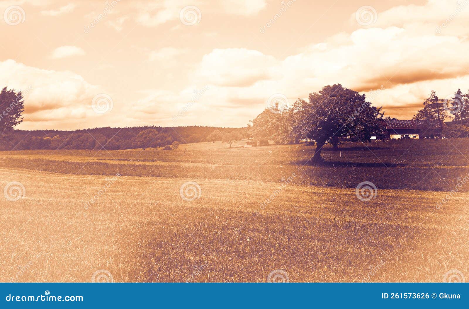 Deserted fields in Germany stock photo. Image of sepia - 261573626