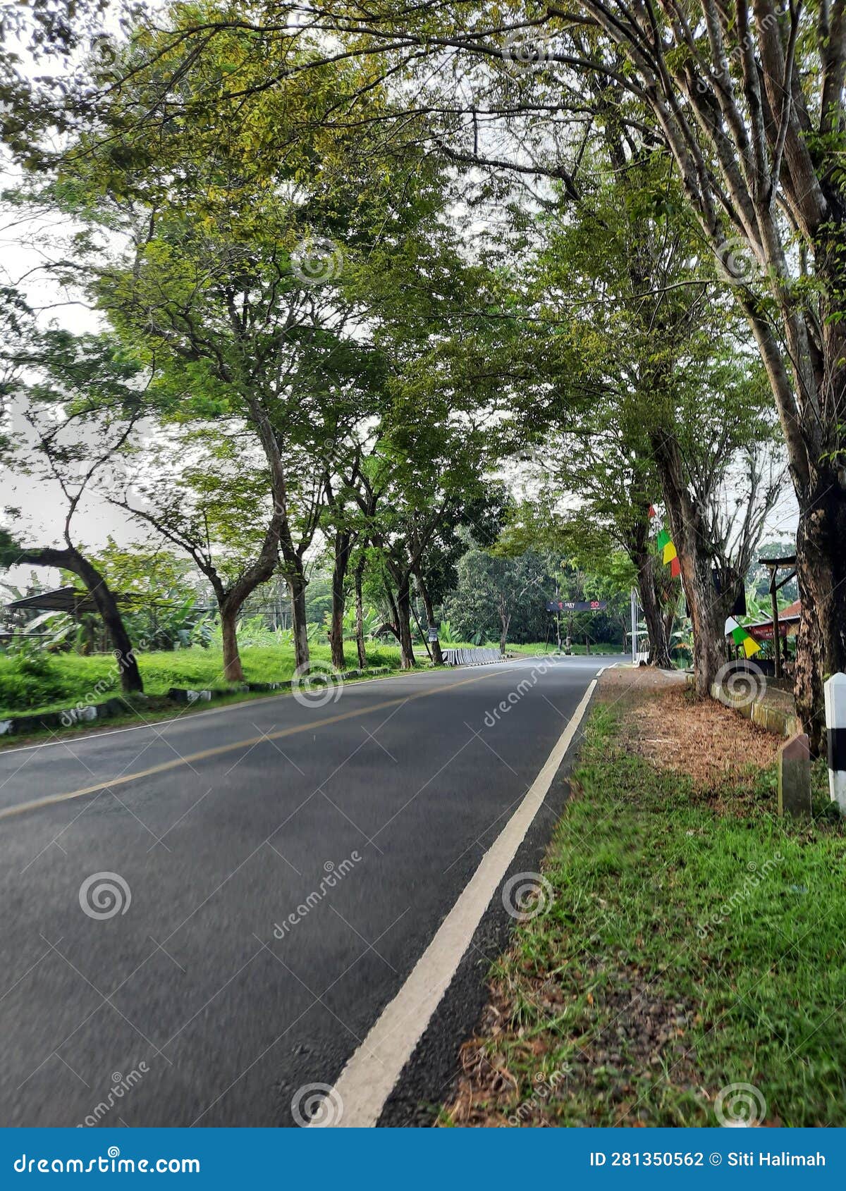 Deserted highway portrait stock photo. Image of grass - 281350562
