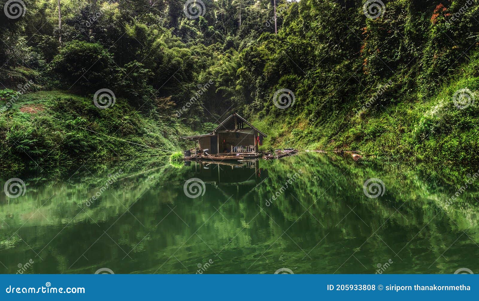 Deserted Hut Floating in a Greeny Lake Stock Photo - Image of river ...