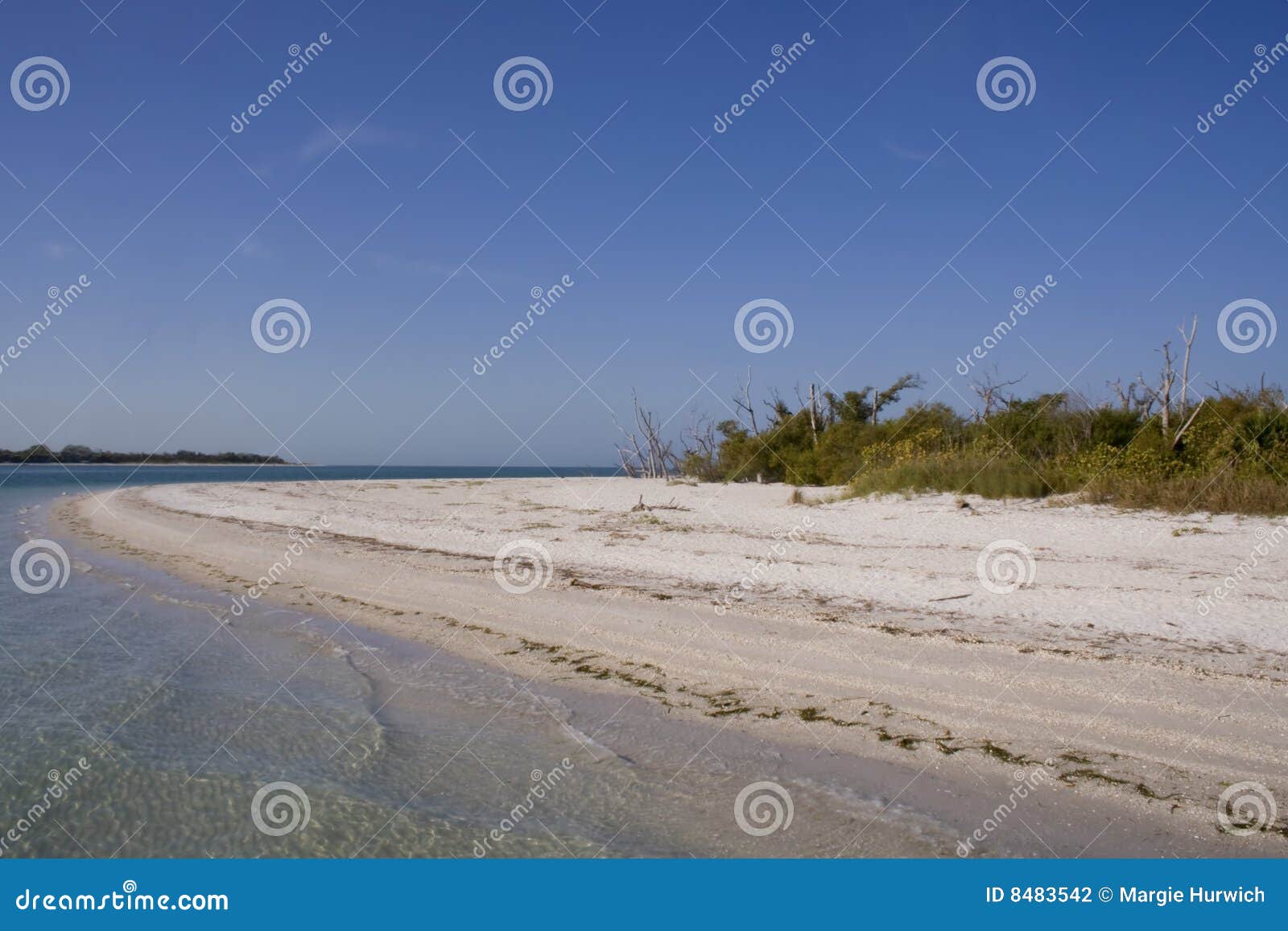 Deserted Island stock photo. Image of sand, clear, tropical - 8483542
