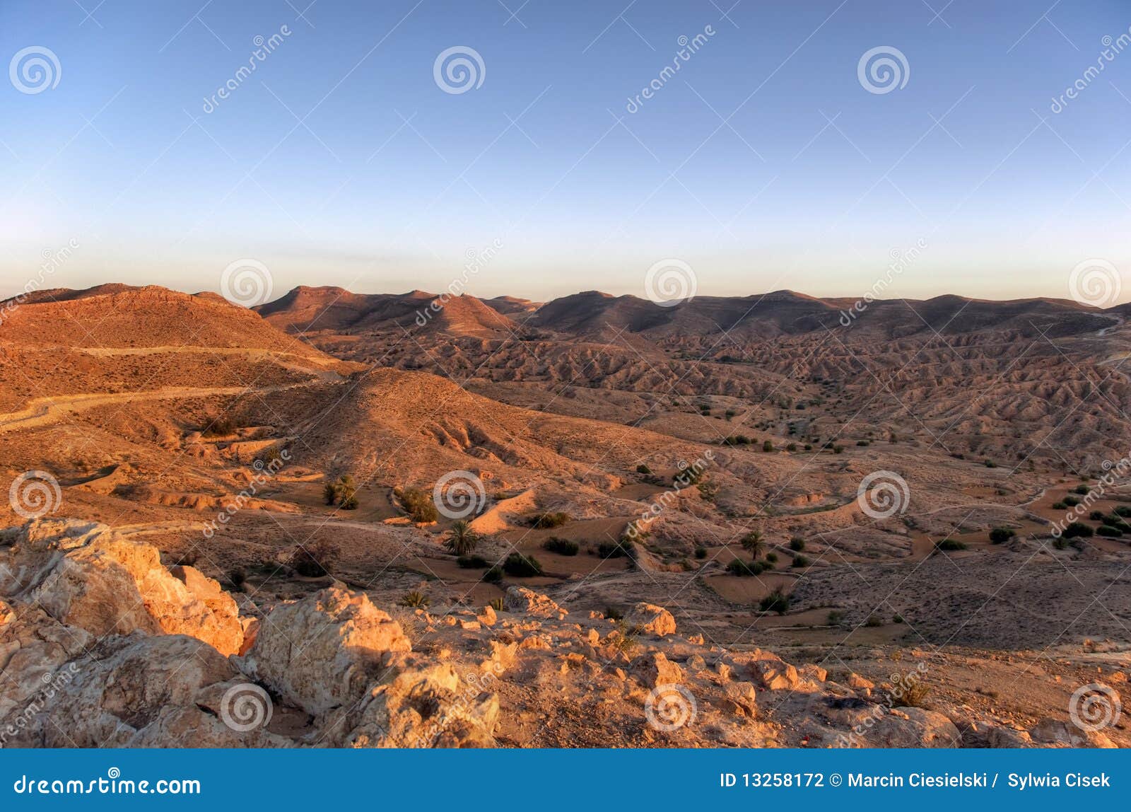 Deserted land stock photo. Image of dawn, desert, african - 13258172