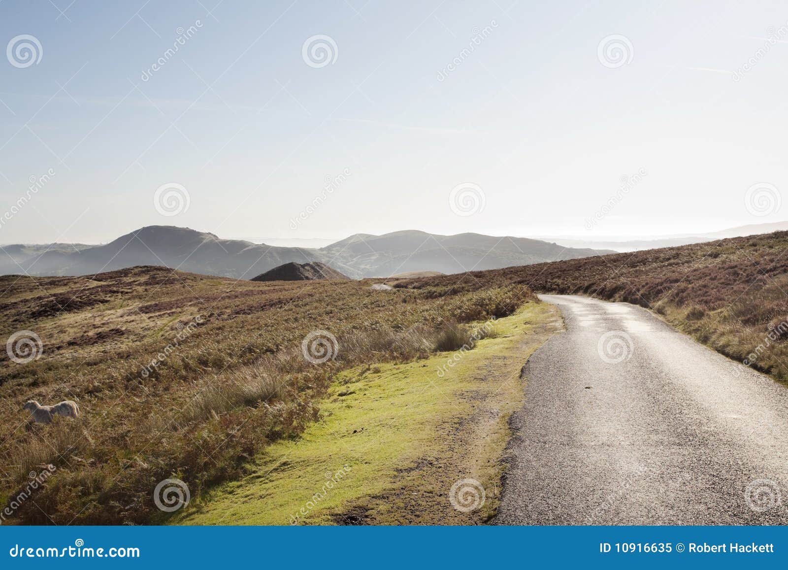 Deserted moor road stock image. Image of deserted, landscape - 10916635