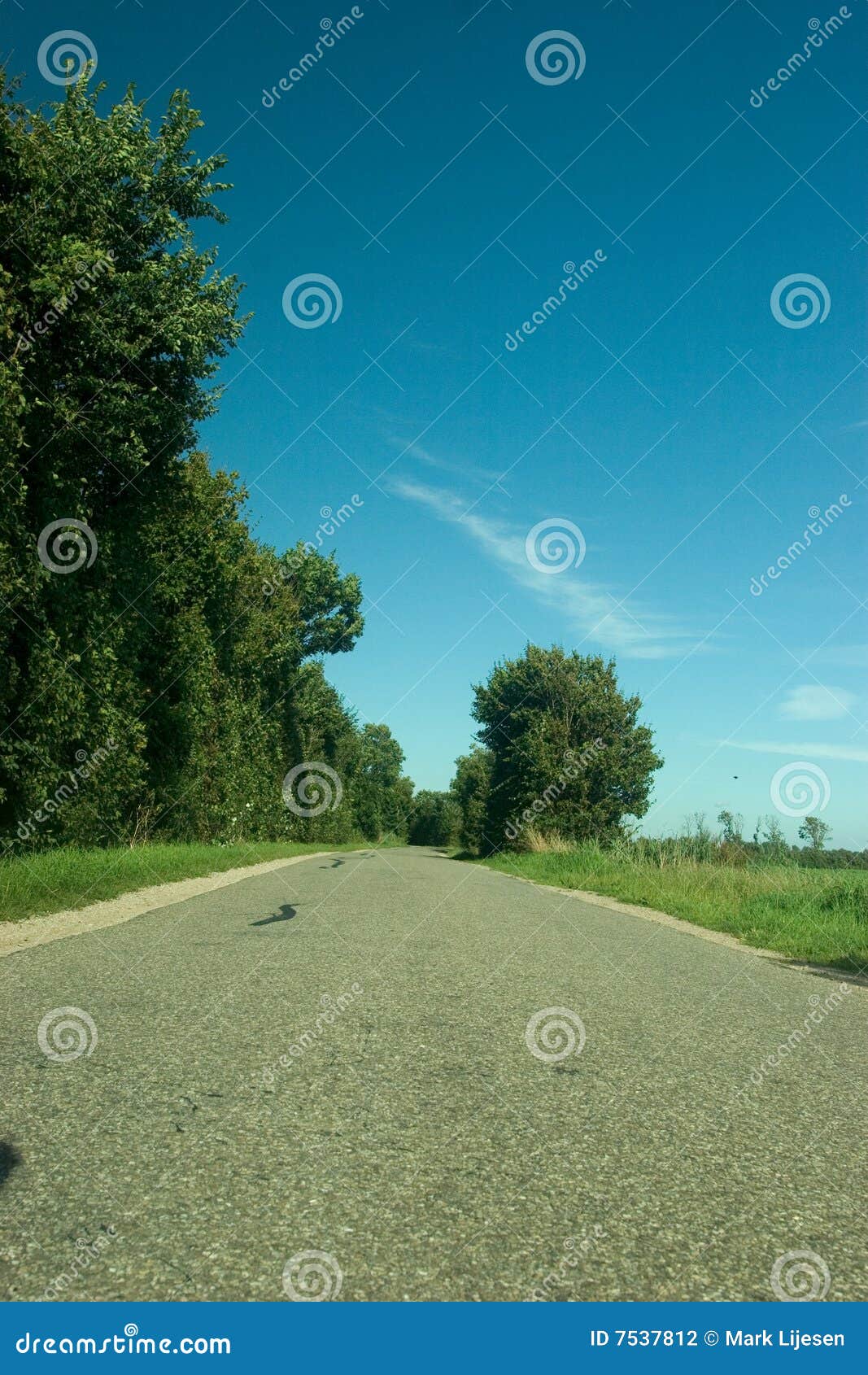 Deserted road stock photo. Image of trees, empty, road - 7537812