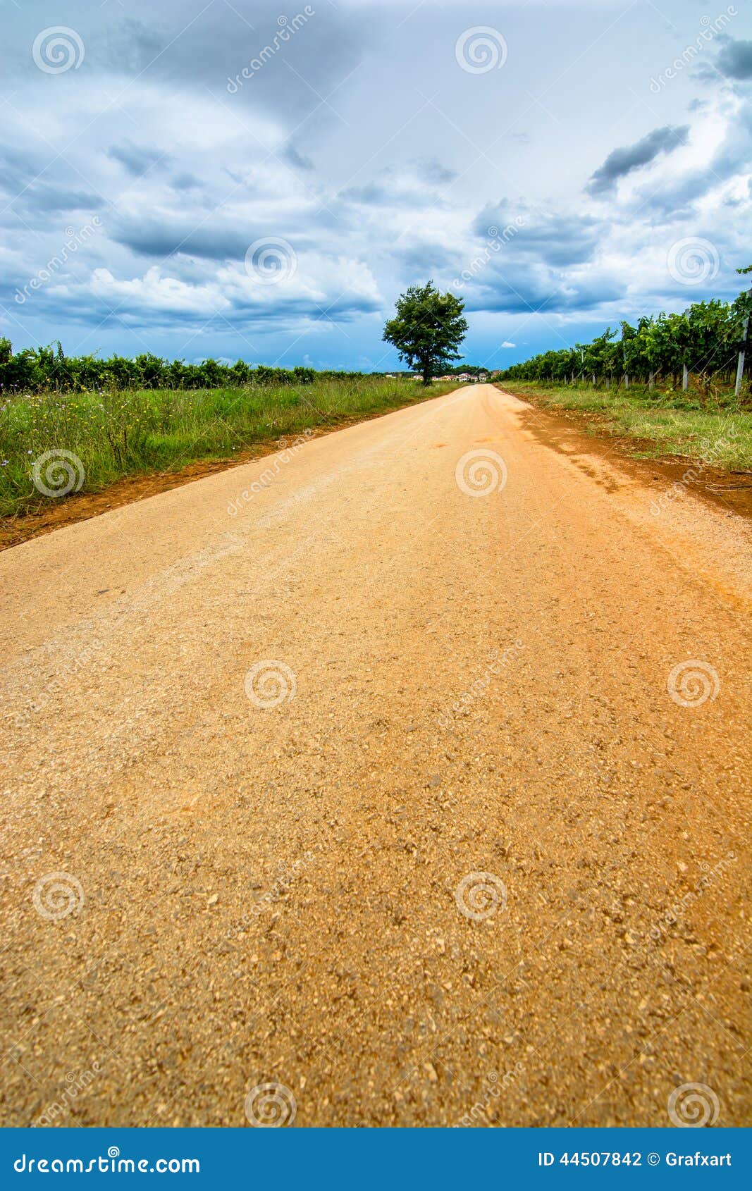 Deserted Road with Tree and Cloudy Sky Stock Photo - Image of outdoor ...