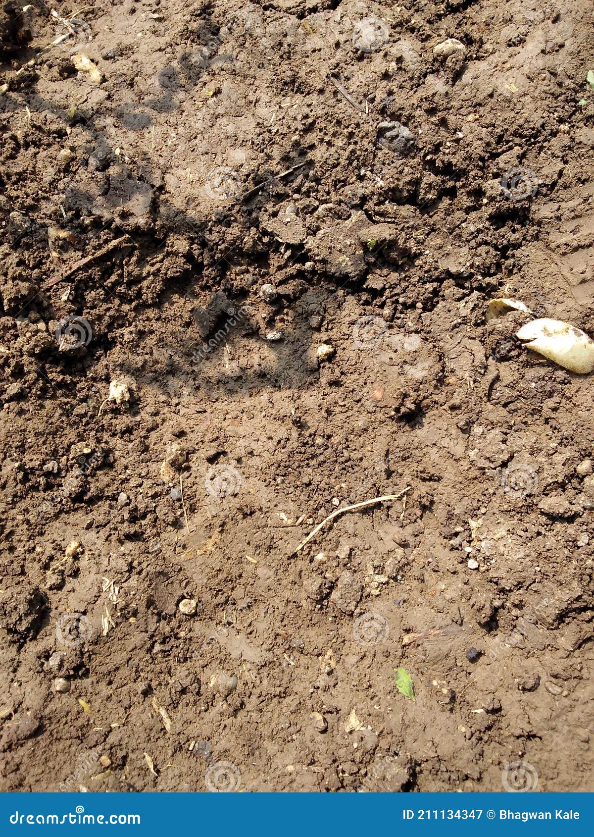 Deserted Soil of Deserted Feild Sample of Deserted Soil Stock Image ...