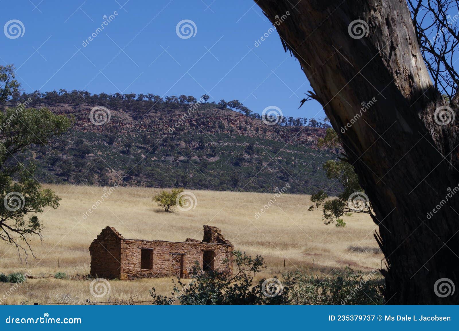 Deserted Stone Cottage South Australia Stock Image - Image of outback ...