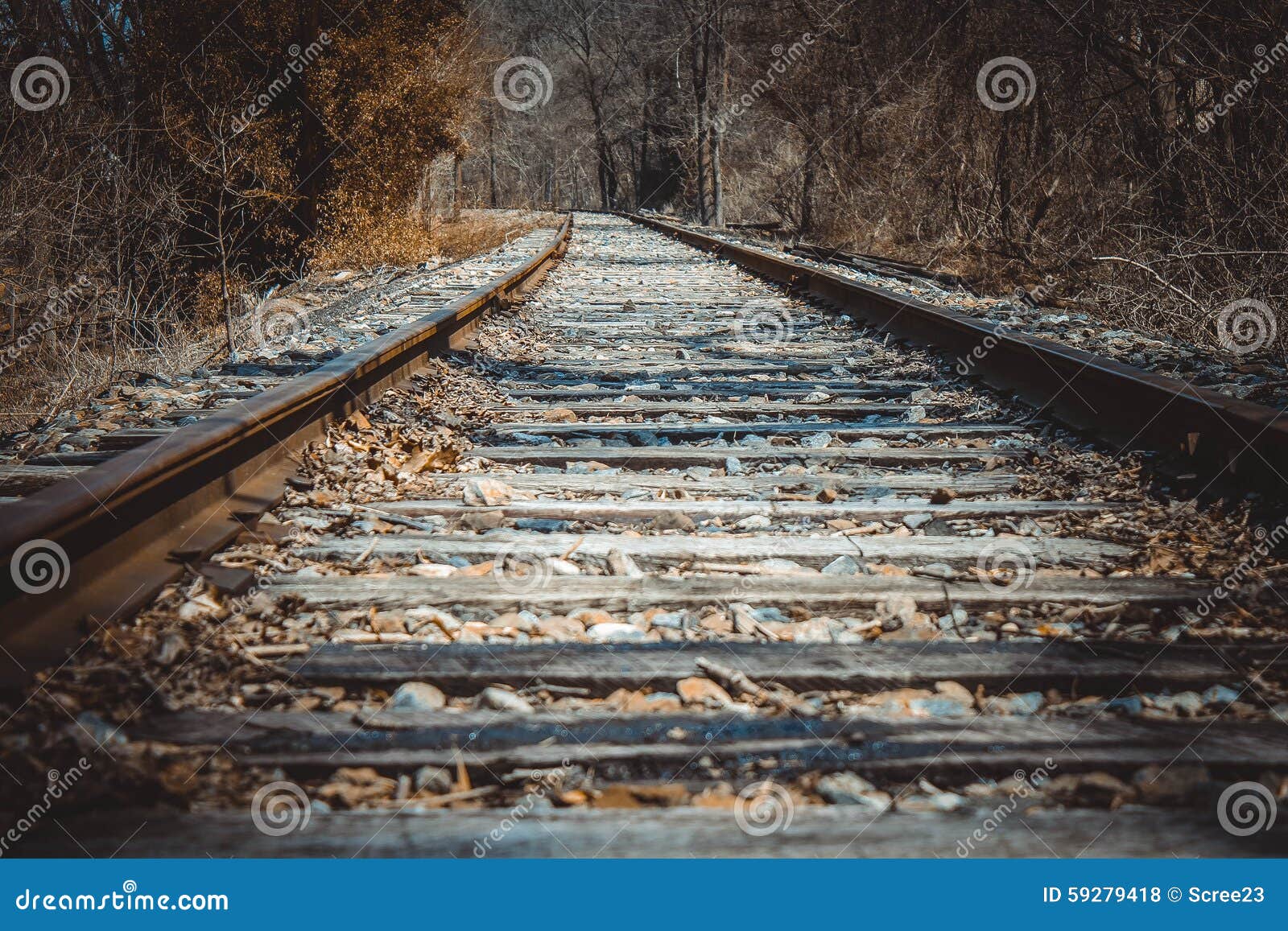 Deserted train tracks stock photo. Image of fall, railroad - 59279418