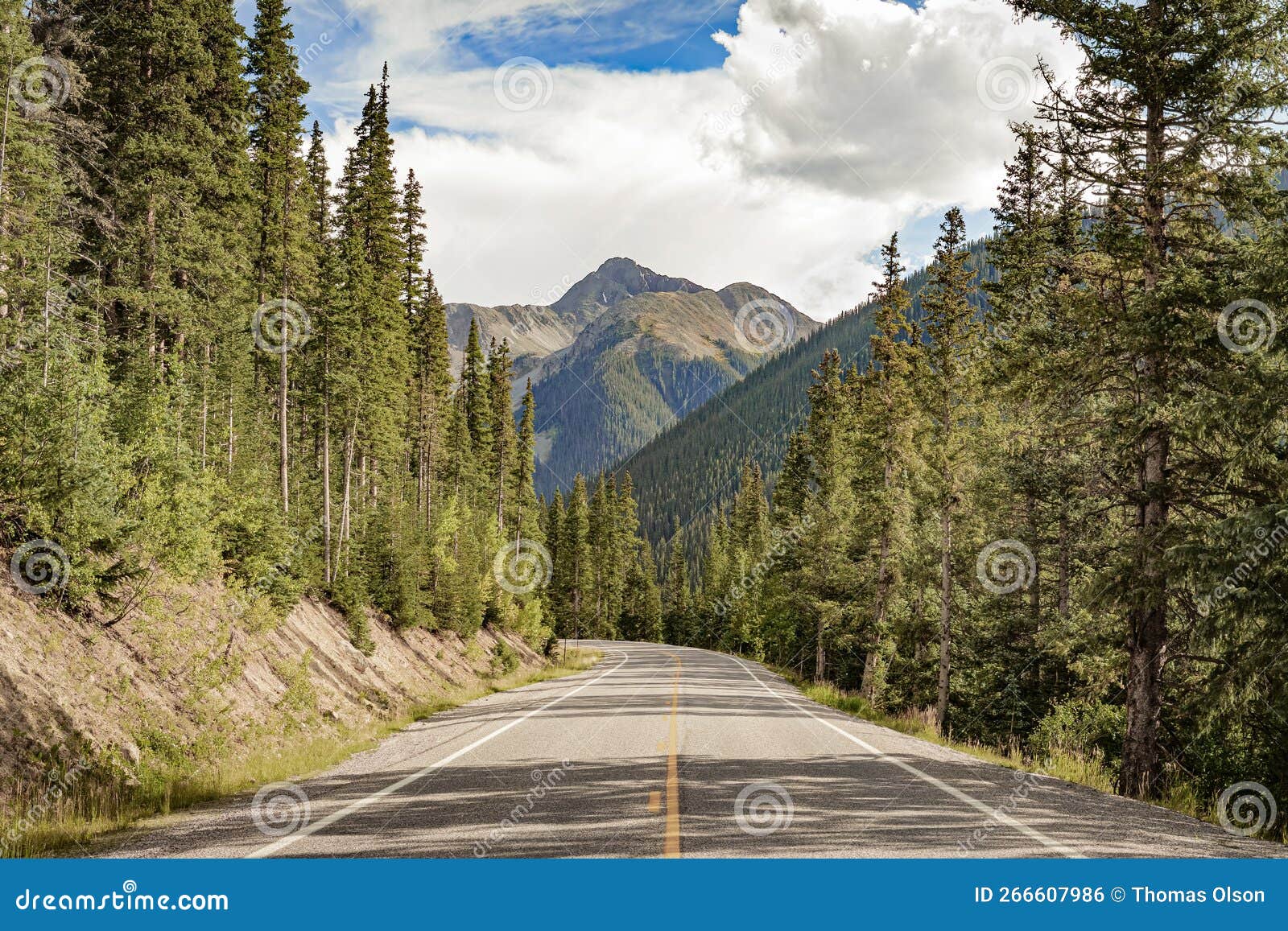 Deserted Tree Lined Rocky Mountain Road Stock Photo - Image of brightly ...