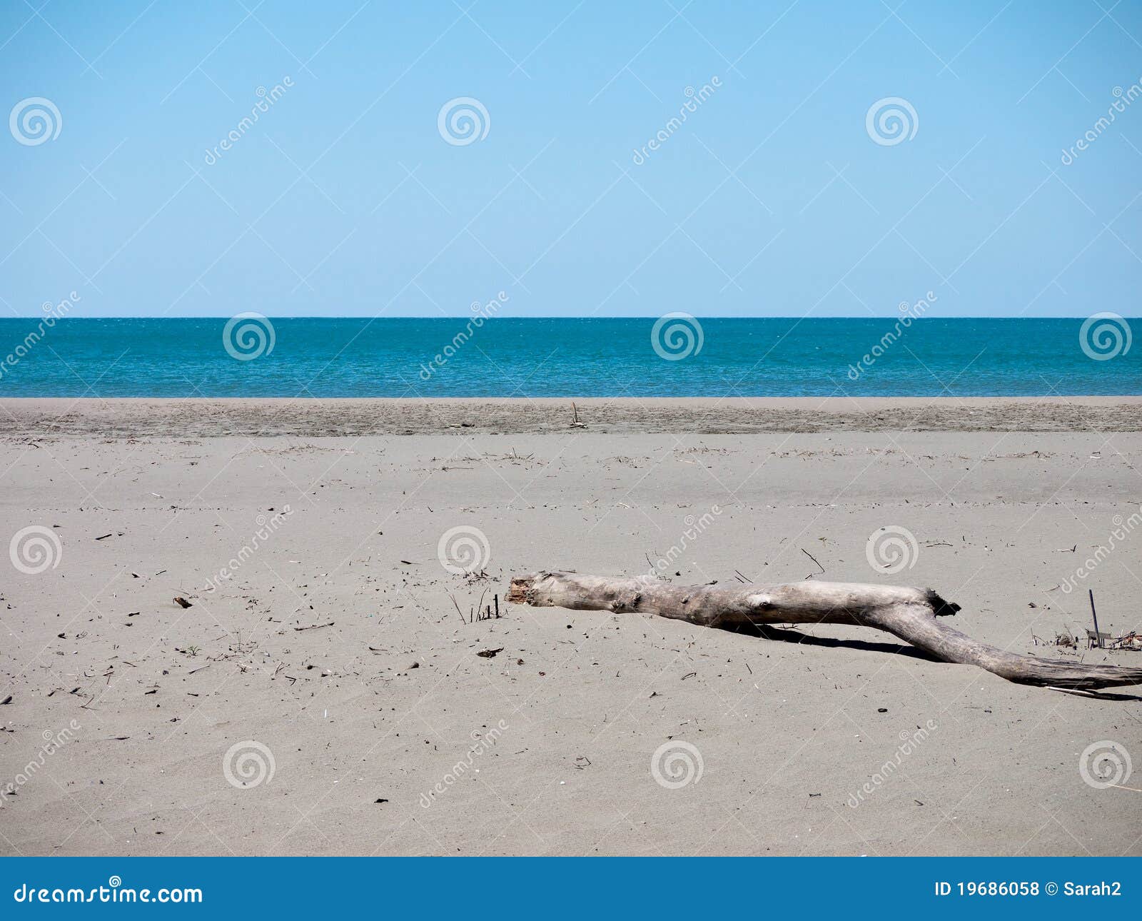 Deserted Unspoilt Beach with Driftwood Stock Photo - Image of sunshine ...