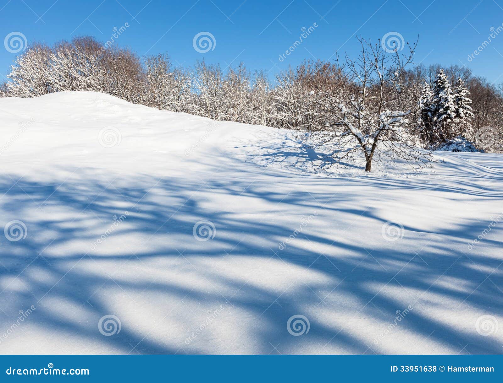 Deserted Winter Hilly Field Landscape Stock Photo - Image of hill ...