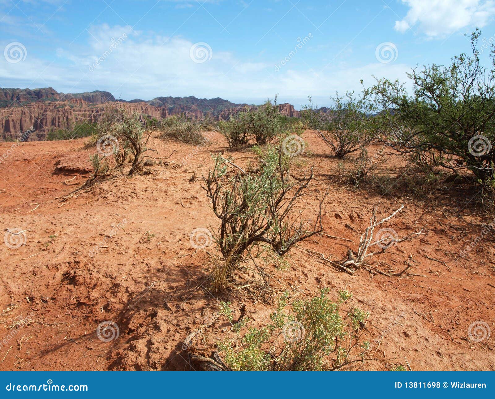 Desertic Landscape in the Canyon Las Quijadas Stock Photo - Image of ...