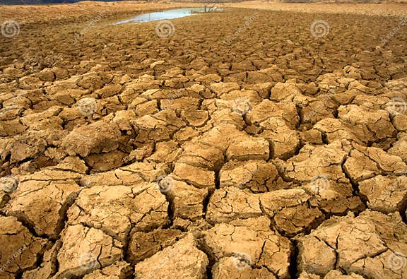 Desertification stock photo. Image of desert, pool, desertification ...