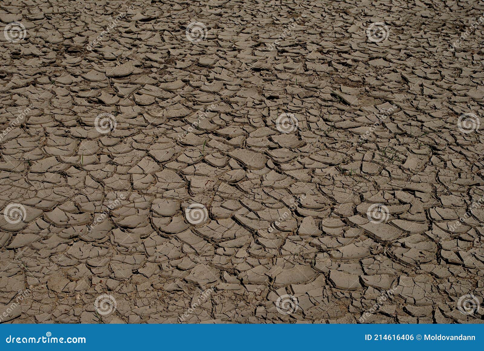 Desertification - an Ecological Problem Stock Photo - Image of global ...