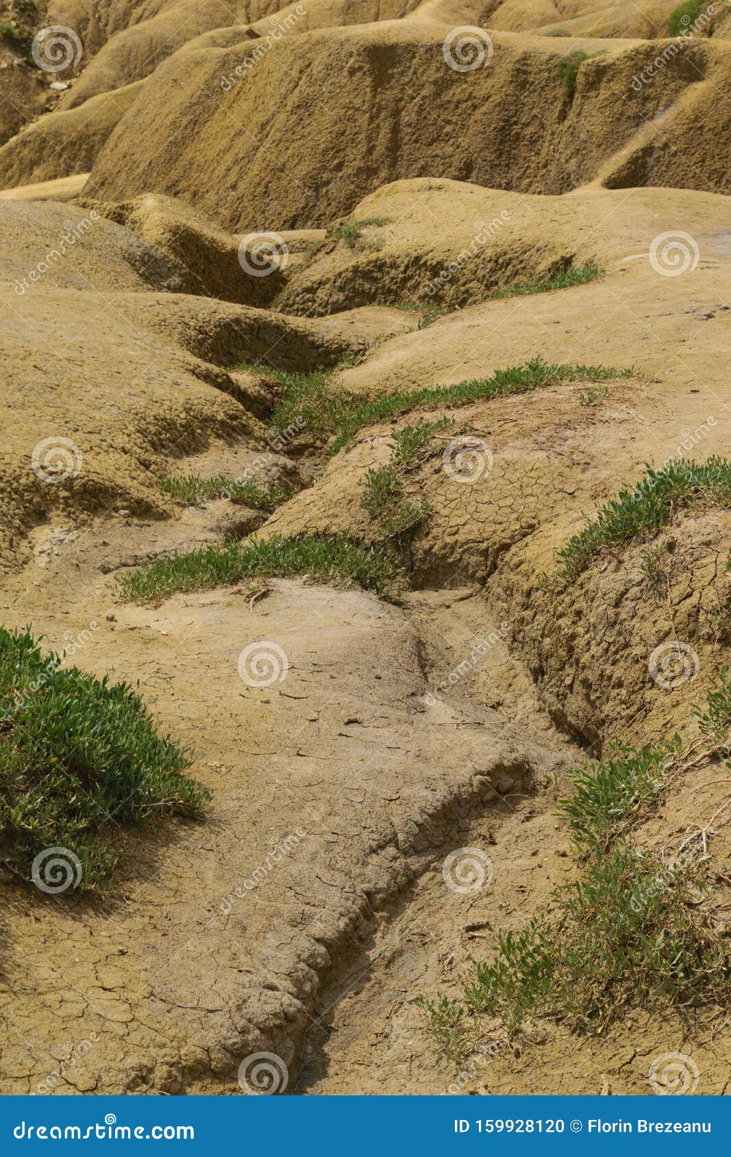 Desertification of the Land - Eroded Landscape Stock Photo - Image of ...