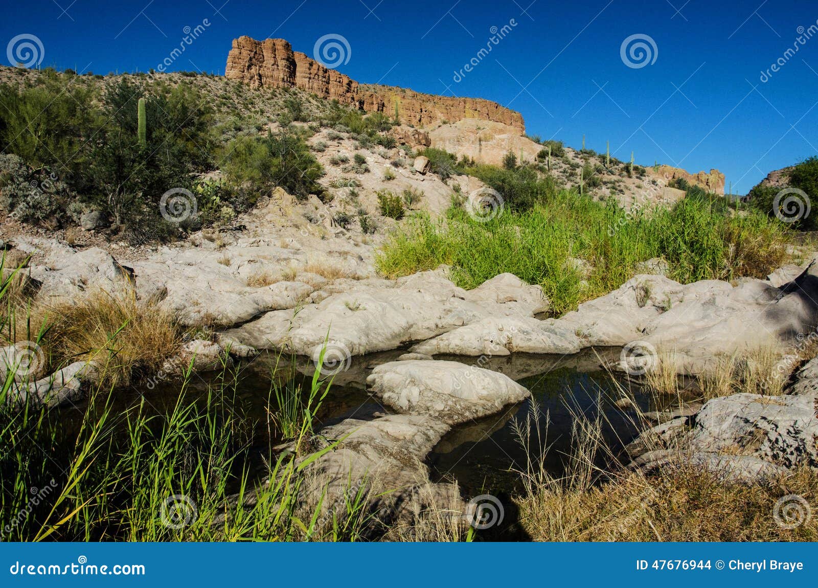 DesertMountainStream stock photo. Image of stream, landscape - 47676944