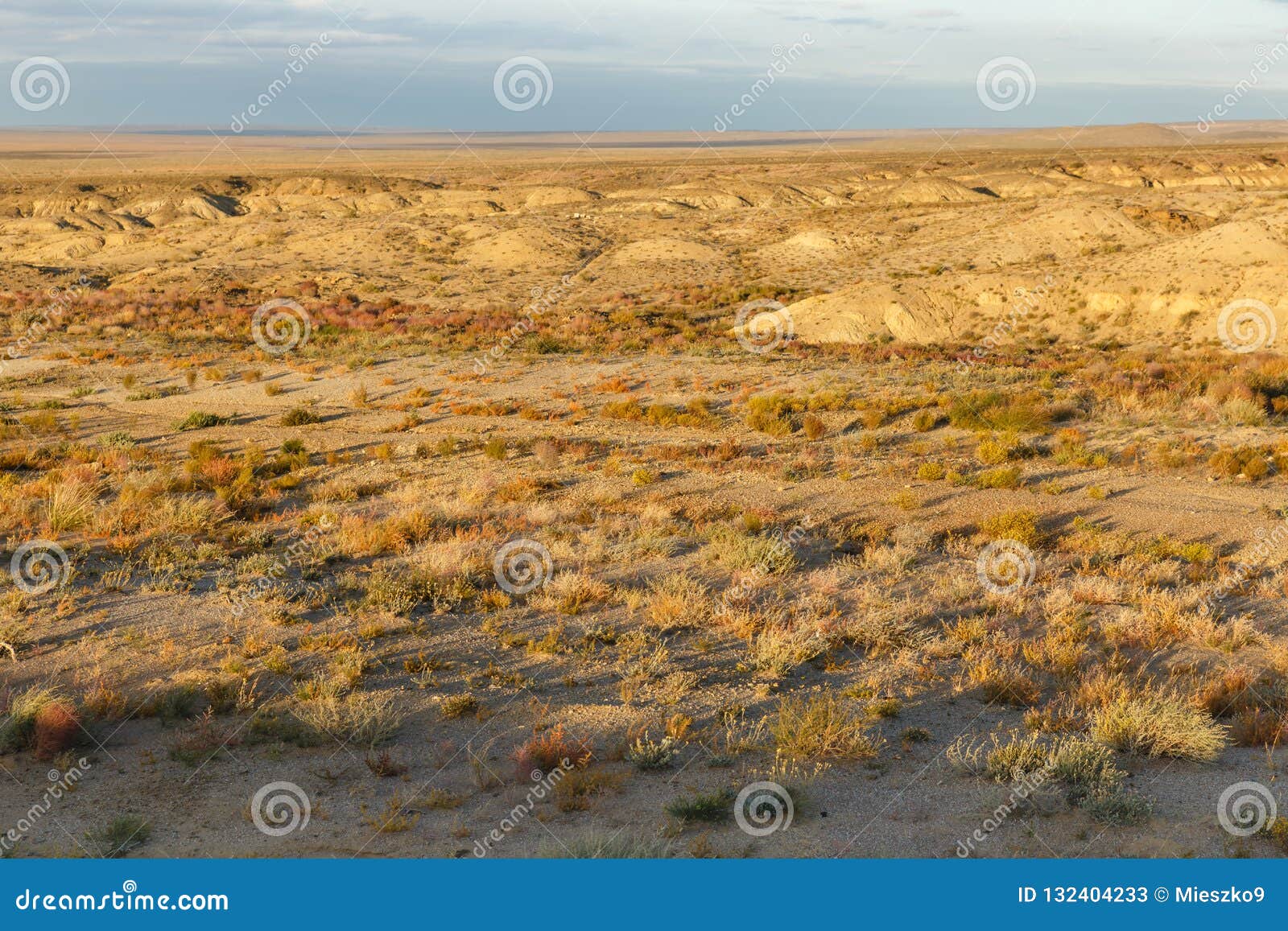 Deserto de Gobi mongolia imagem de stock. Imagem de horizonte - 132404233