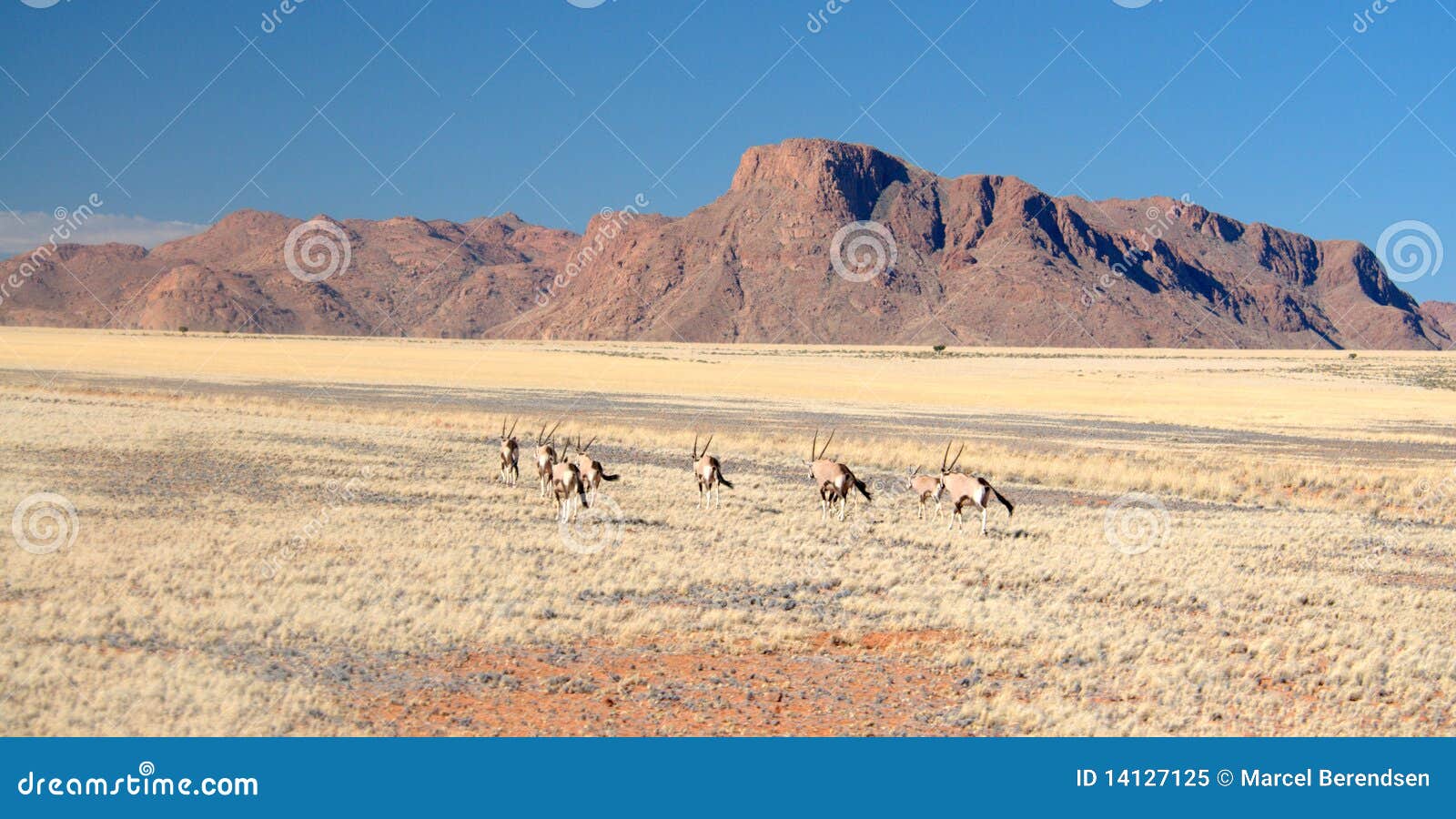 Deserto Di Namib - Namibia (2) Immagine Stock - Immagine di montagna ...