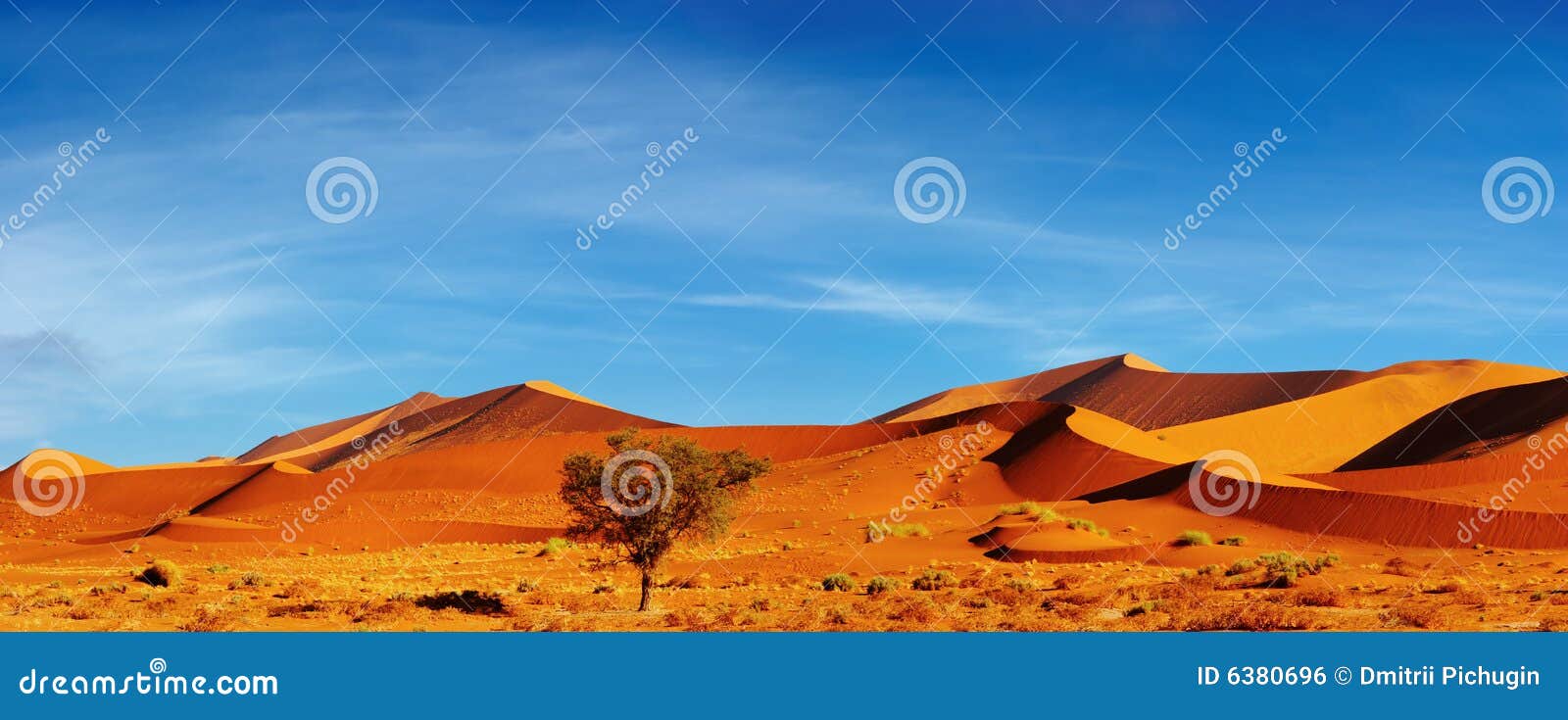 Deserto Di Namib, Sossusvlei, Namibia Fotografia Stock - Immagine di ...