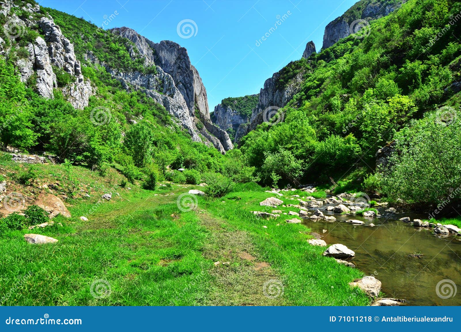 Desfiladeiro Entrando De Turda Foto de Stock - Imagem de rocha, azul ...