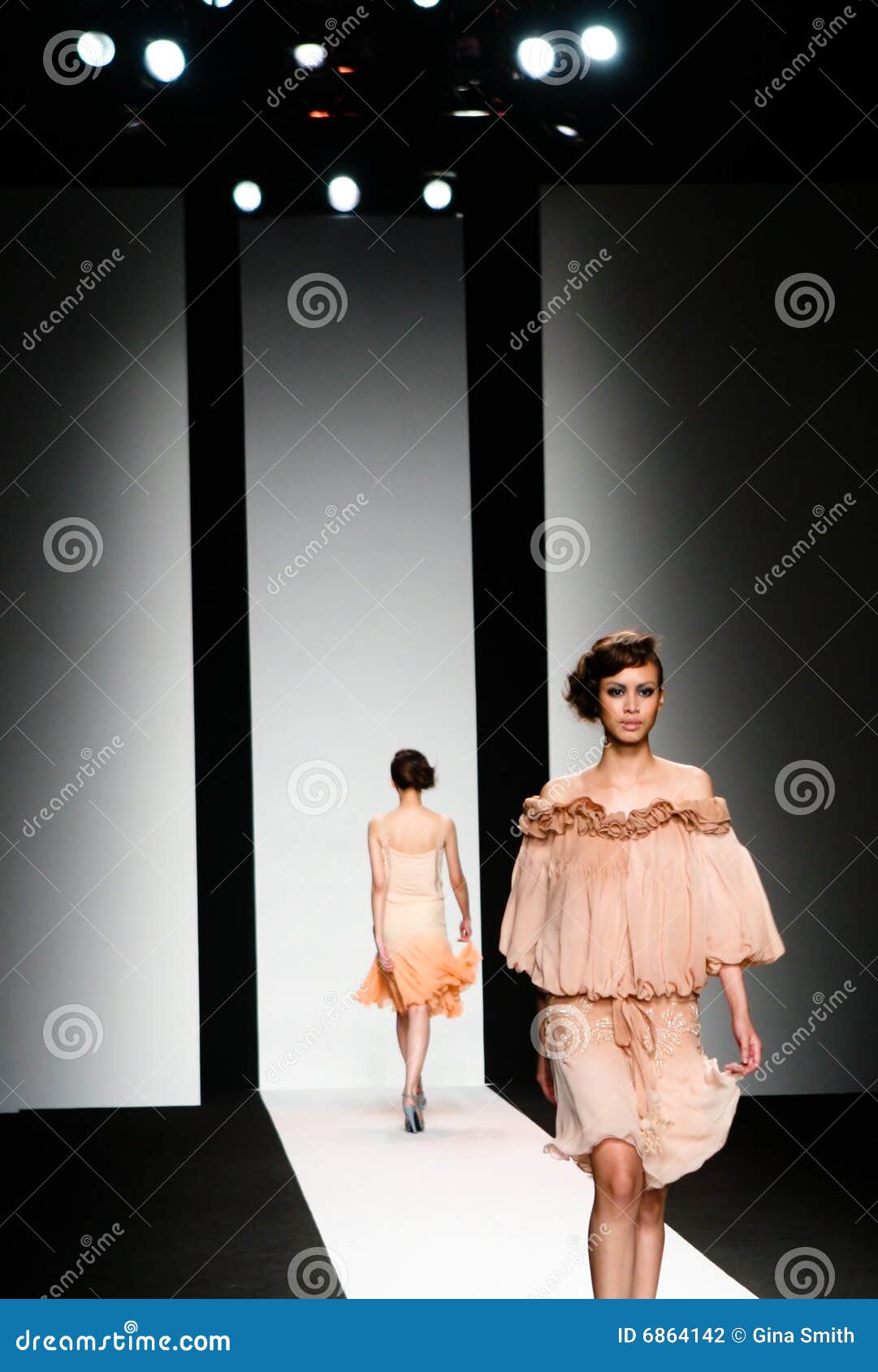 Desfile de moda fotografia editorial. Imagem de beleza - 6864142