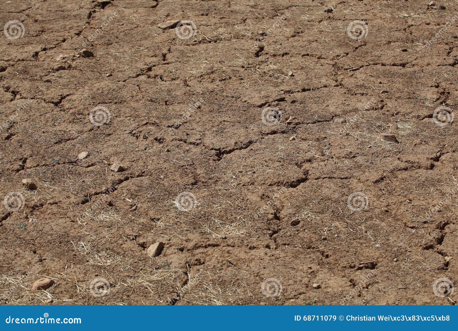 Desiccation Cracks in Farming Soil Stock Image - Image of farming ...